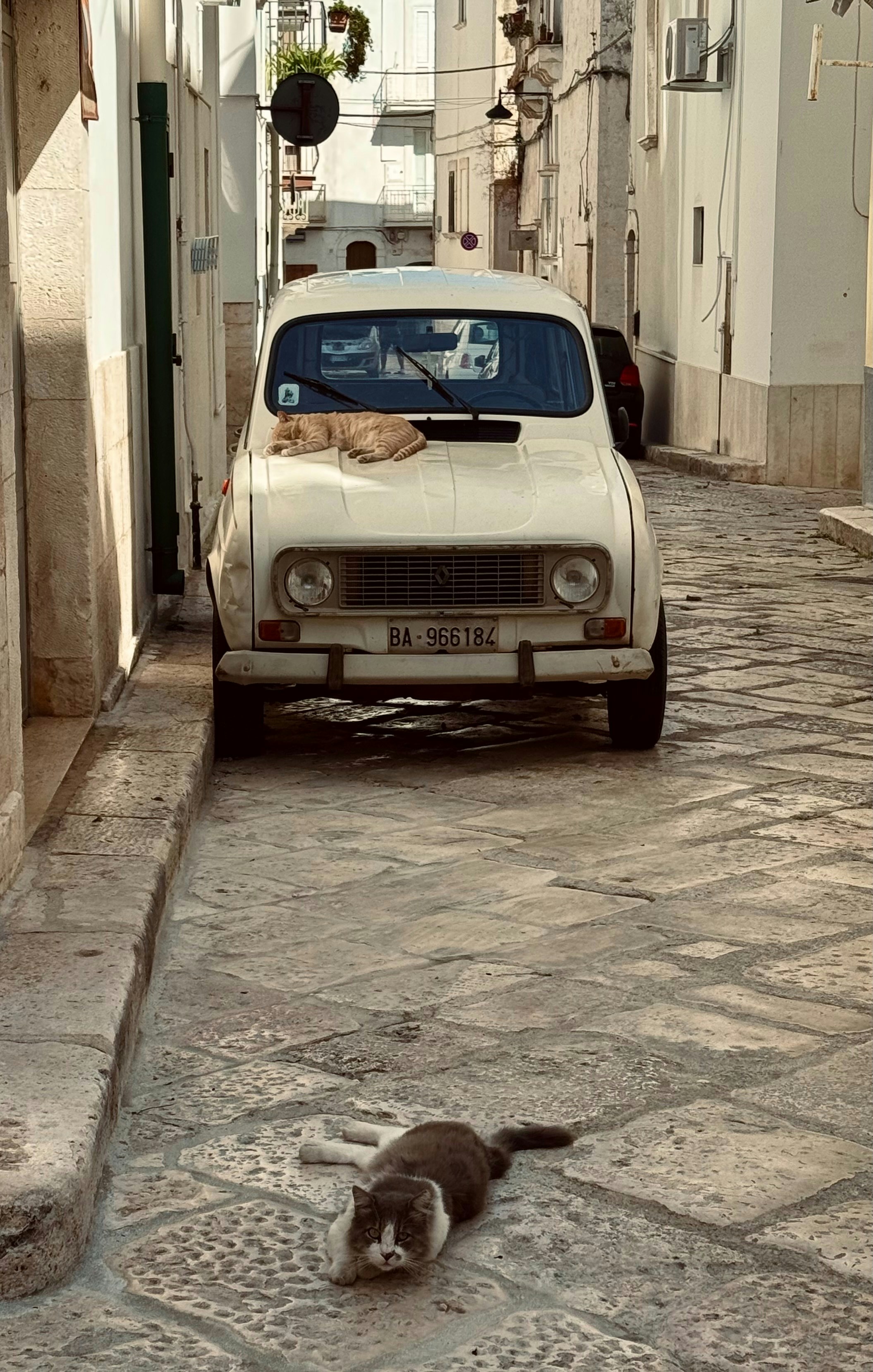 Two cats relax on a cobblestone street beside a car.
