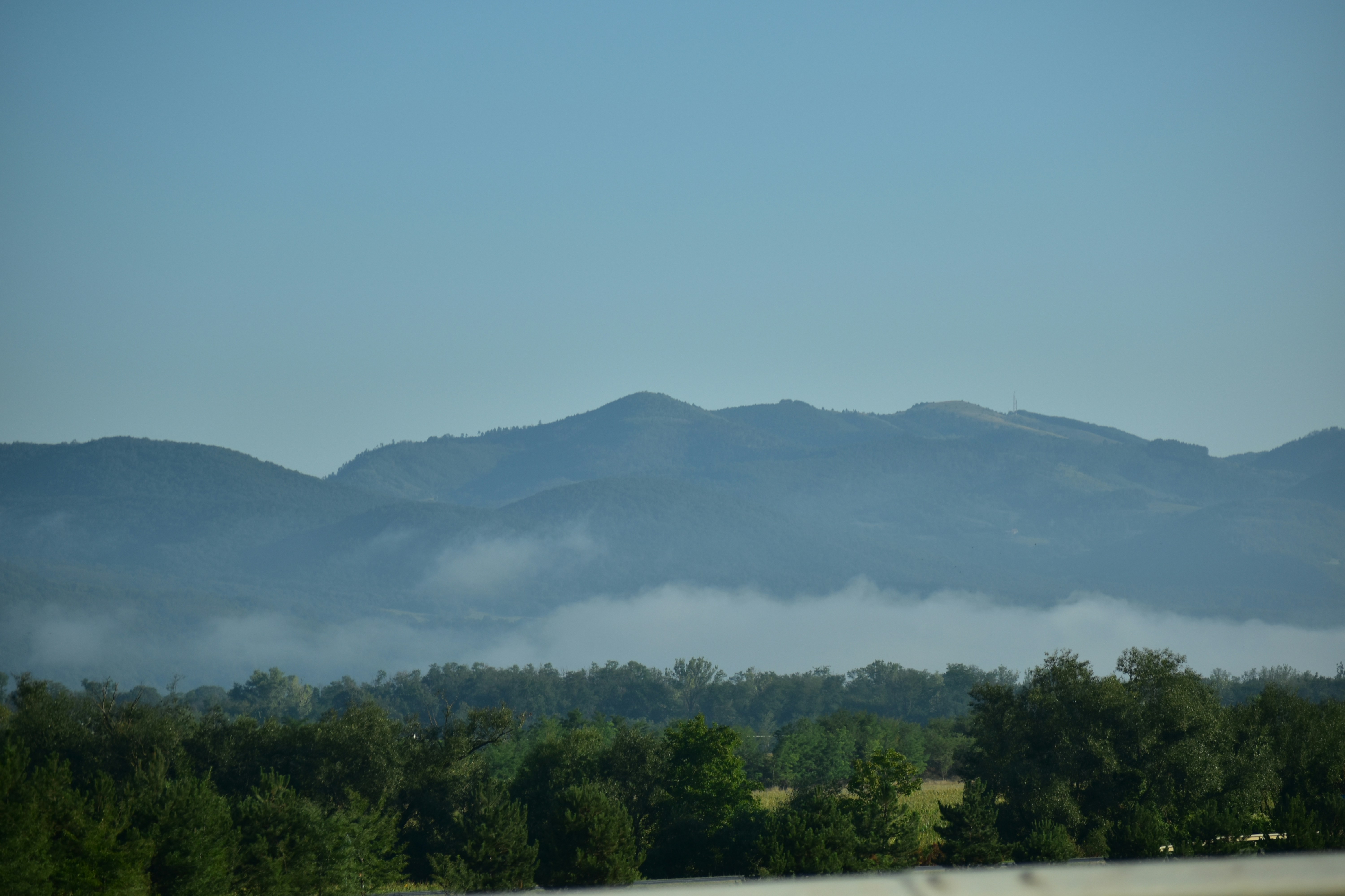 Whispers of the Misty Mountains