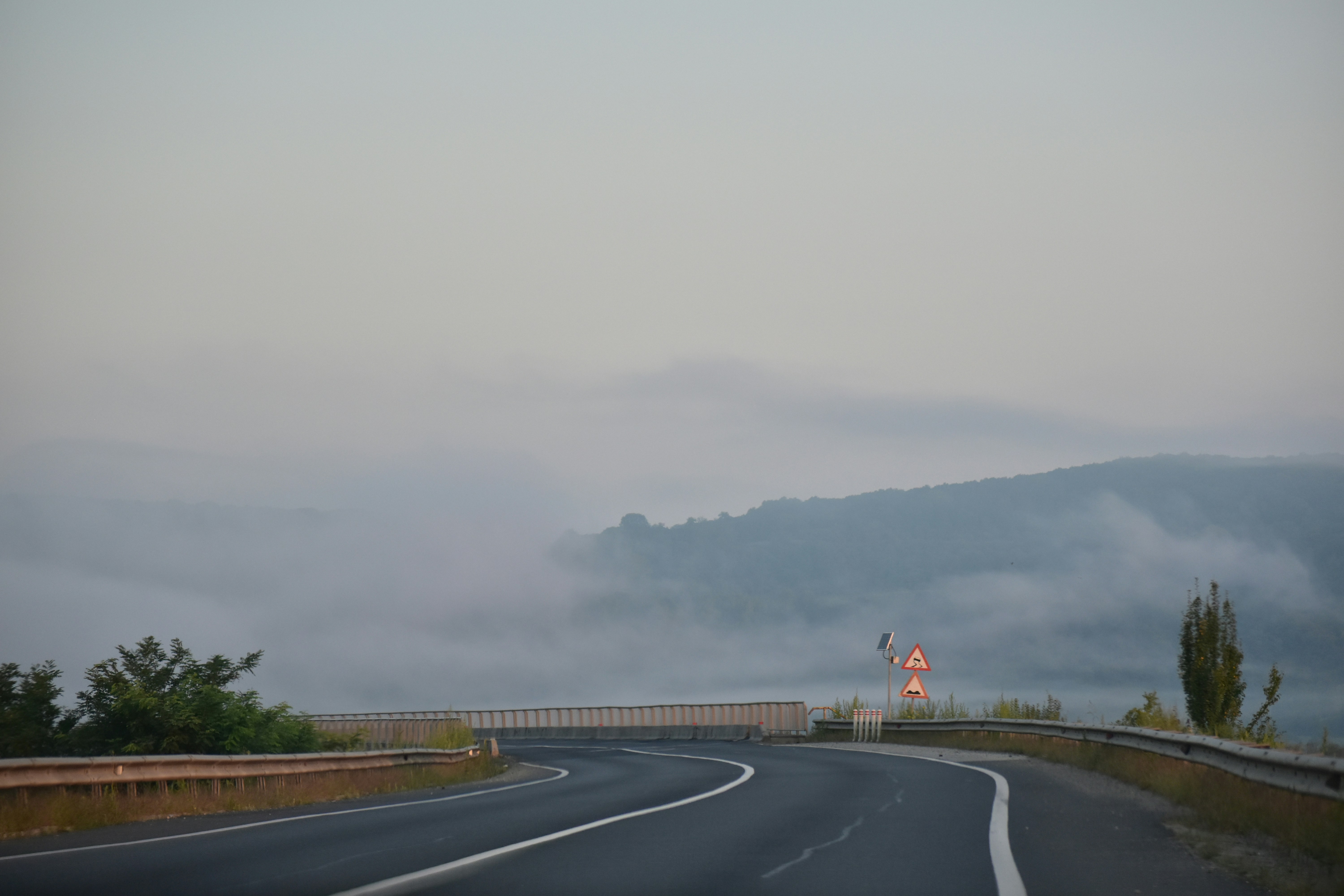 Whispers of the Morning Mist