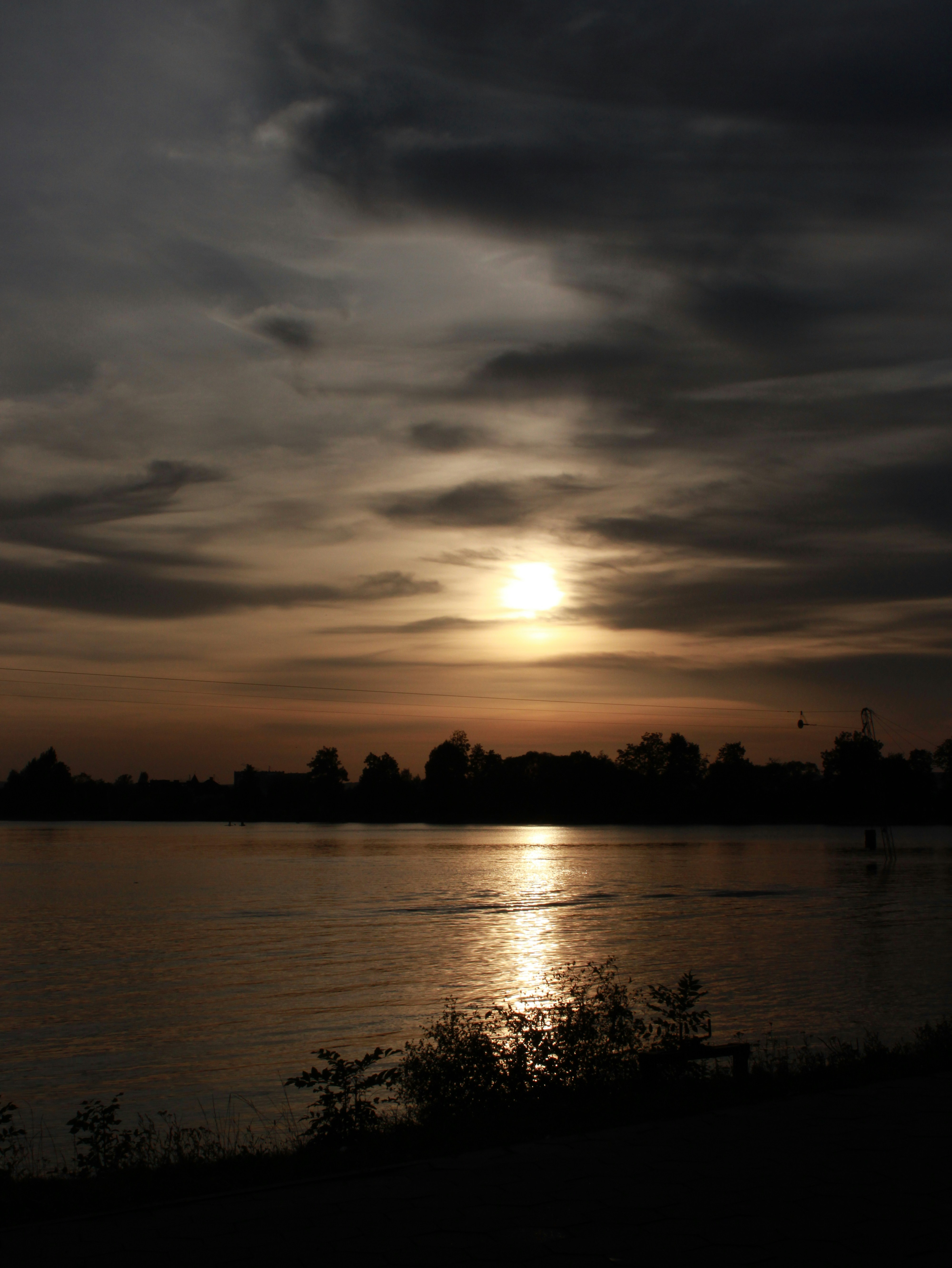 Whispers of Dusk: A Tranquil Water's Edge
