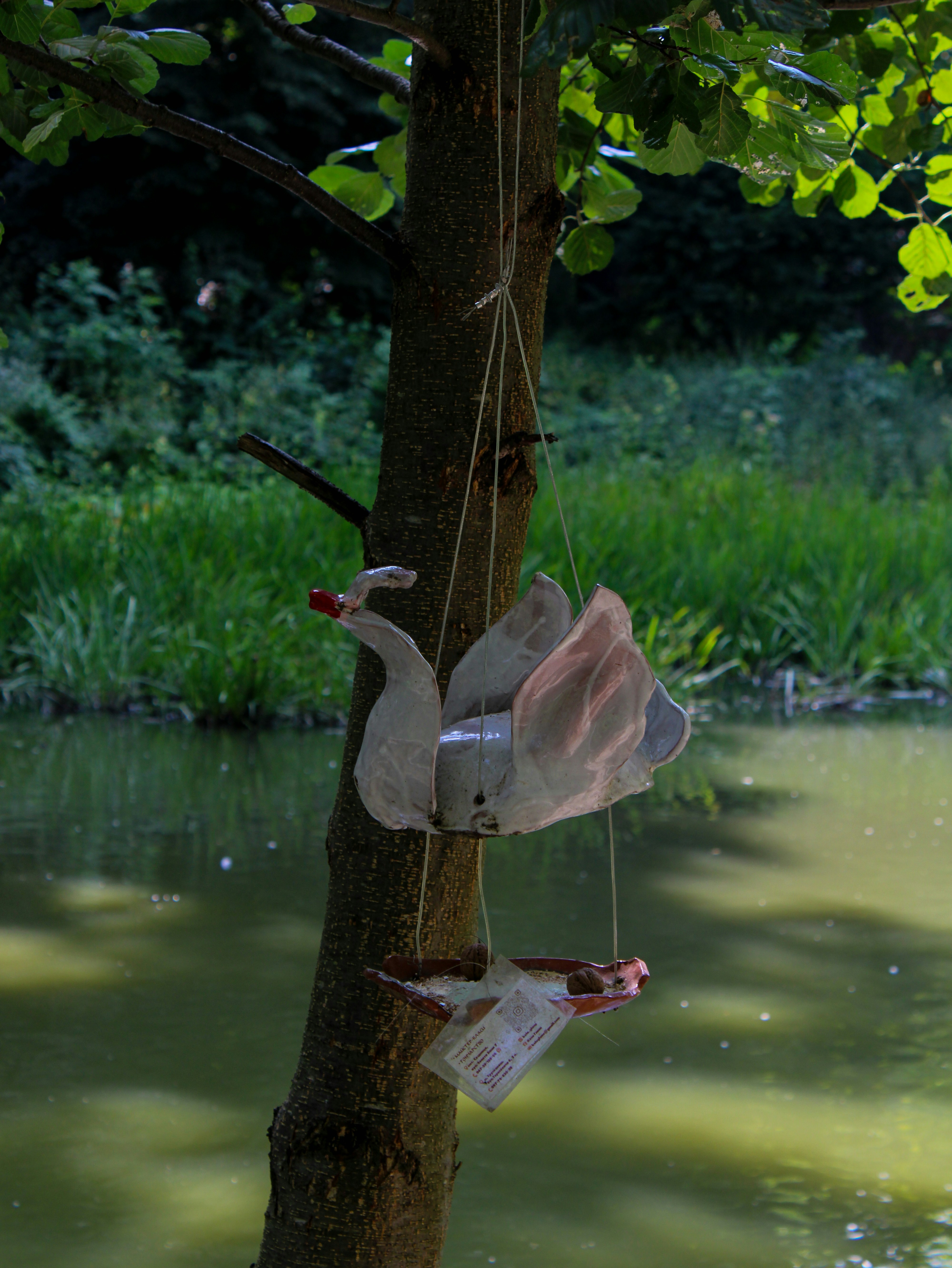 Whimsical Waterfowl: A Plastic Swan's Reflection