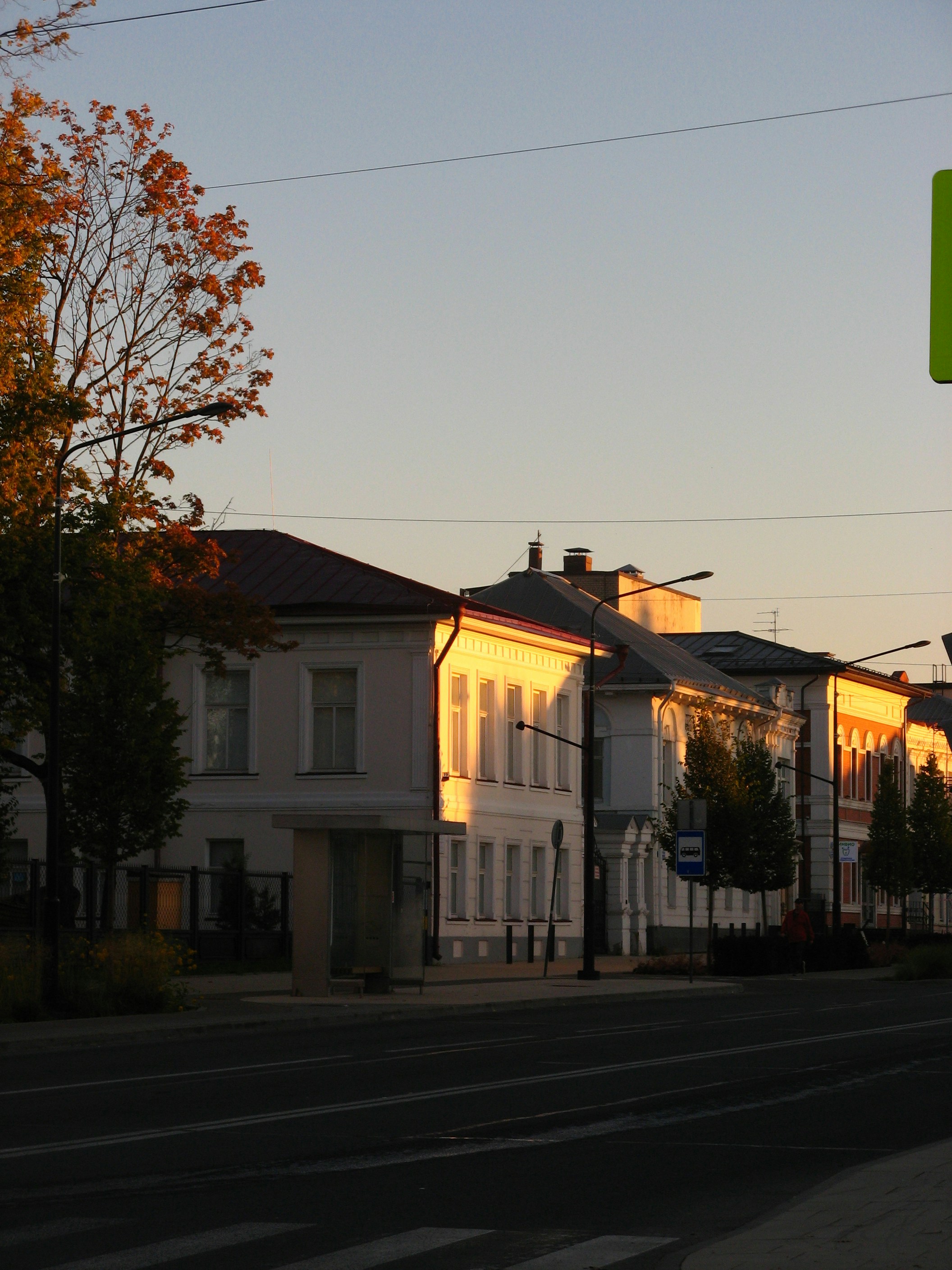 Sunlight illuminates the facades of charming historic buildings along a quiet street, framed by autumn foliage.