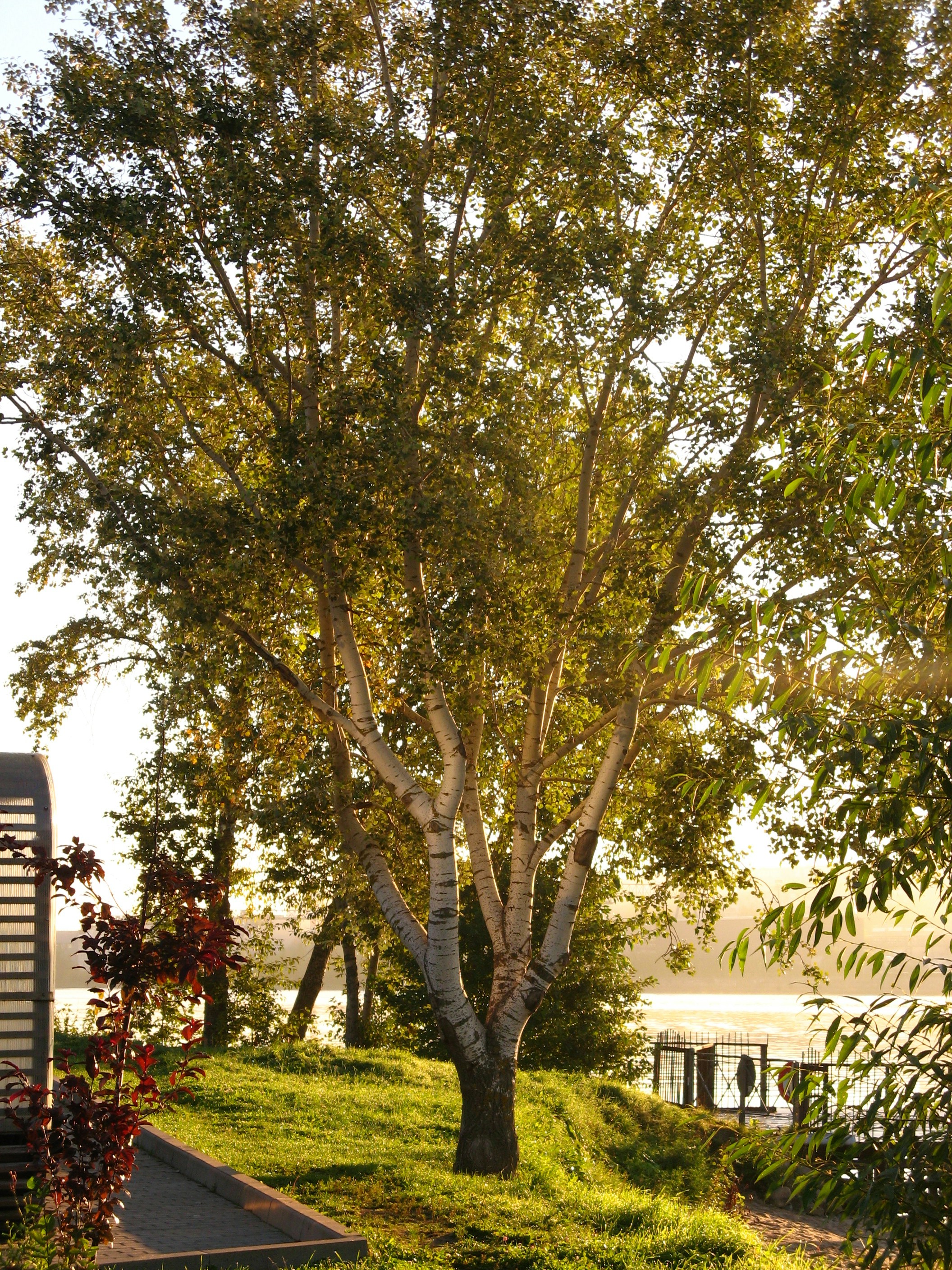 Sample photo from Canon PowerShot A700