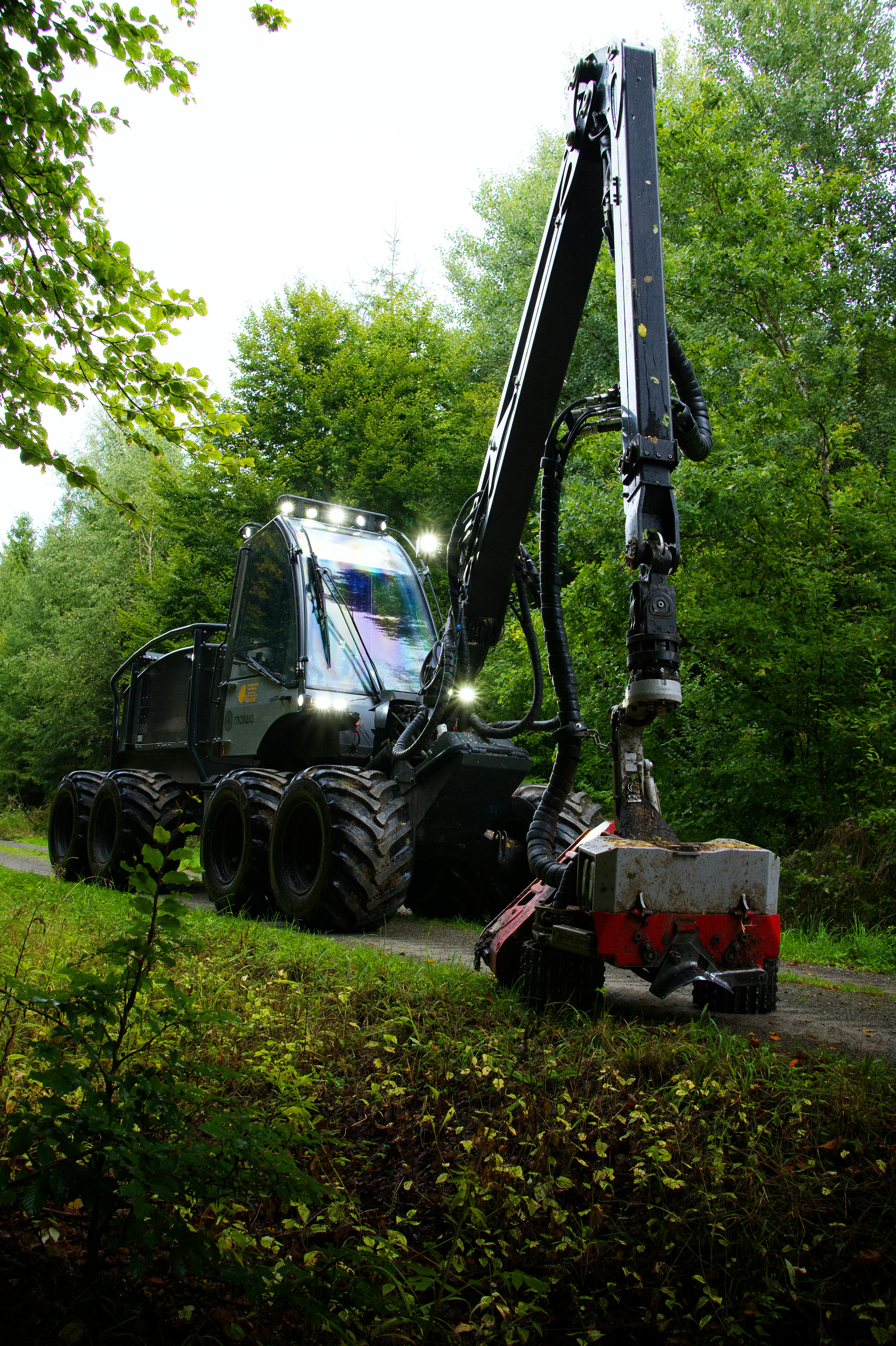 Precision in the Wilderness: The Art of Forestry Machinery