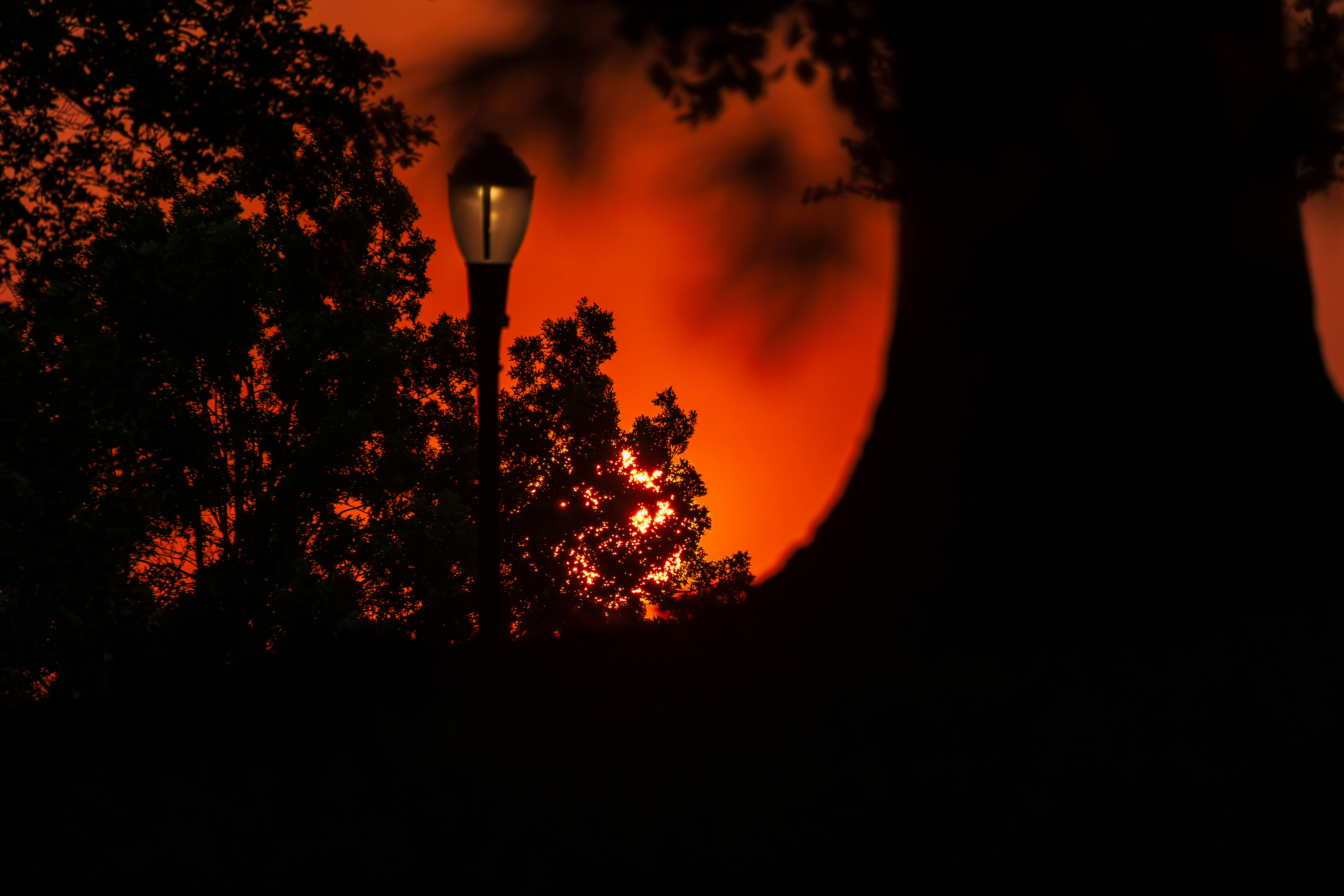 lamp post and tree silhouette with sunset orange sky | Street lamp silhouetted against a fiery sunset