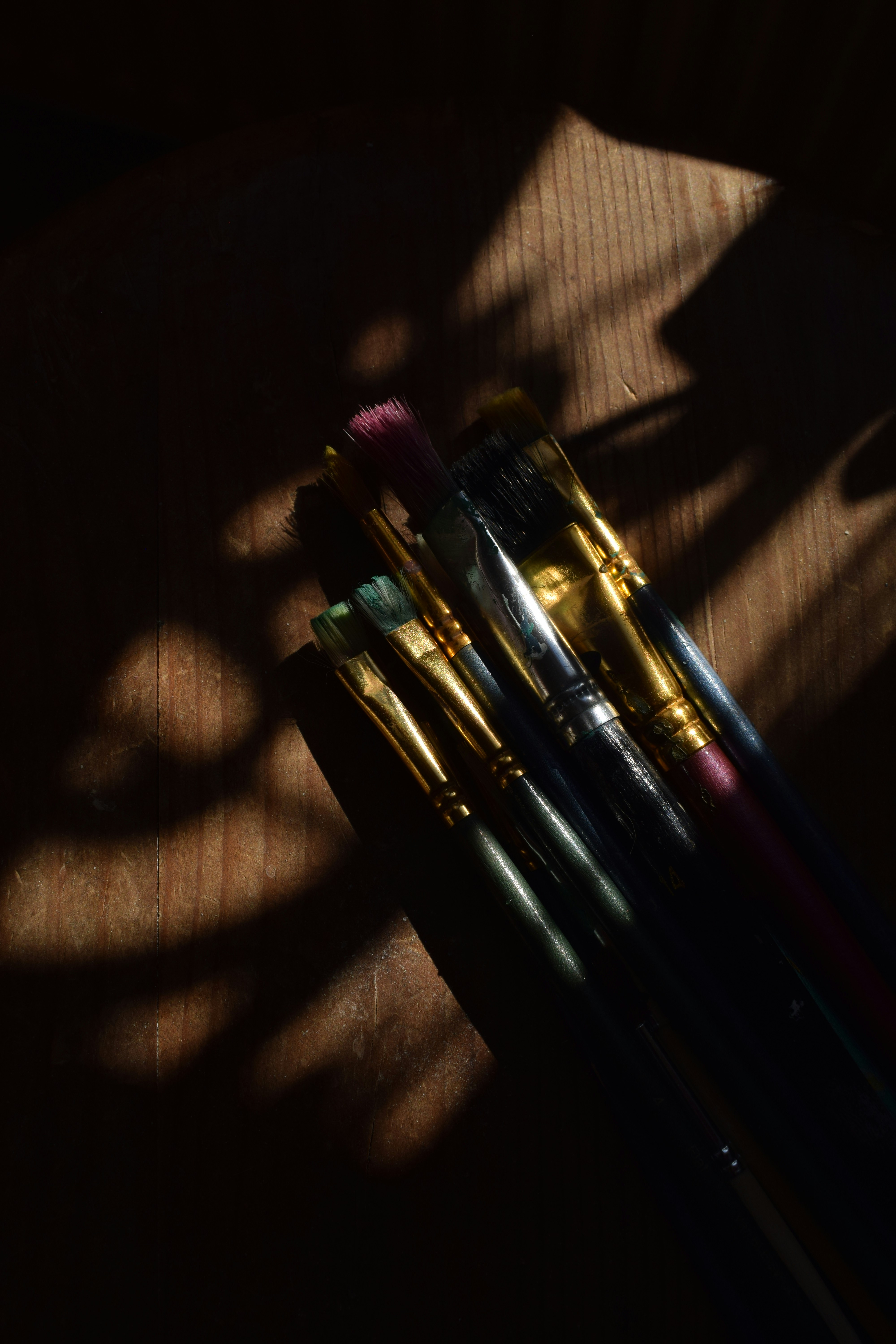 Paintbrushes resting on a wooden surface with shadows.