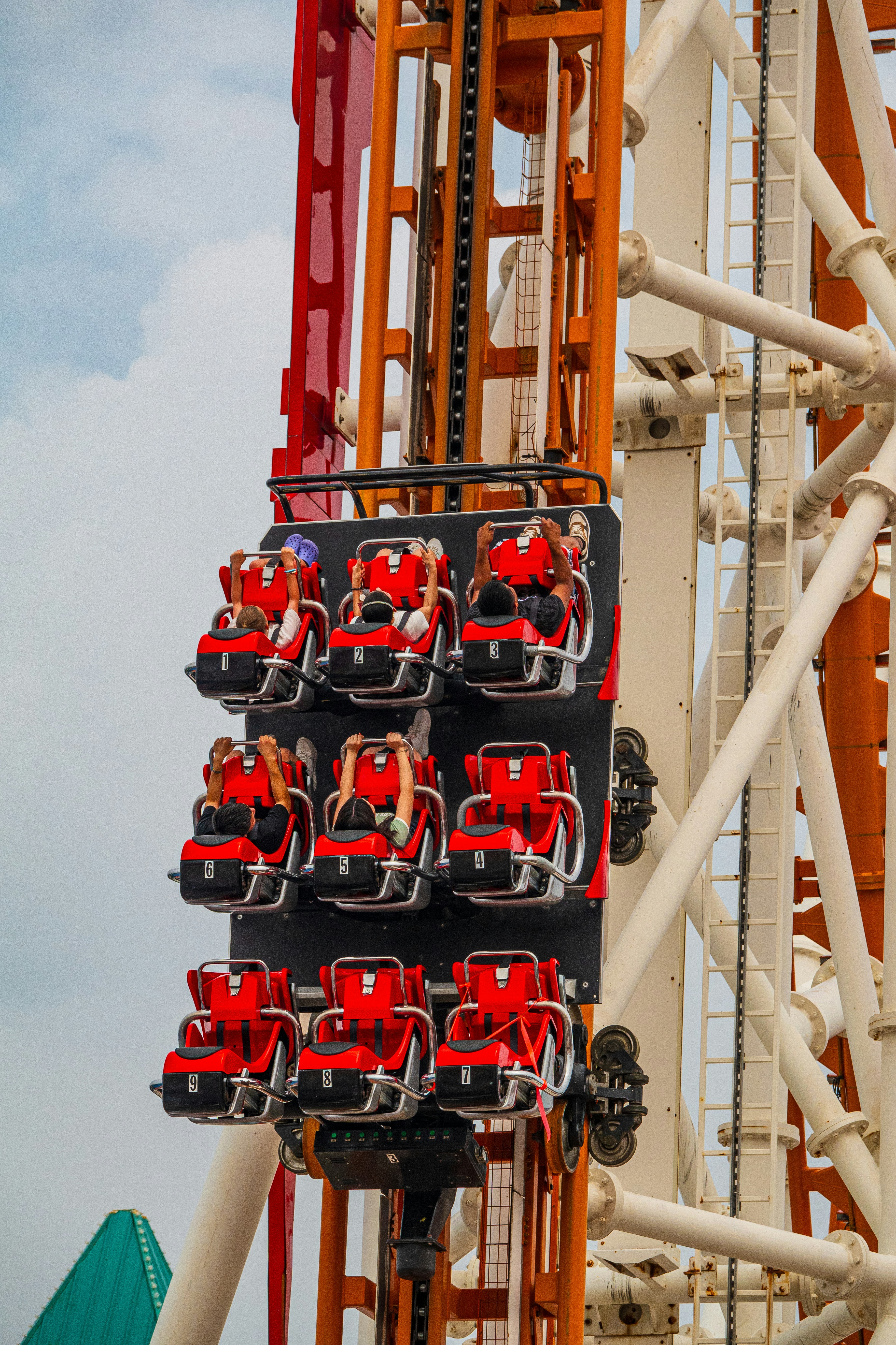 Vertical Thrill: The Ascent of Adrenaline