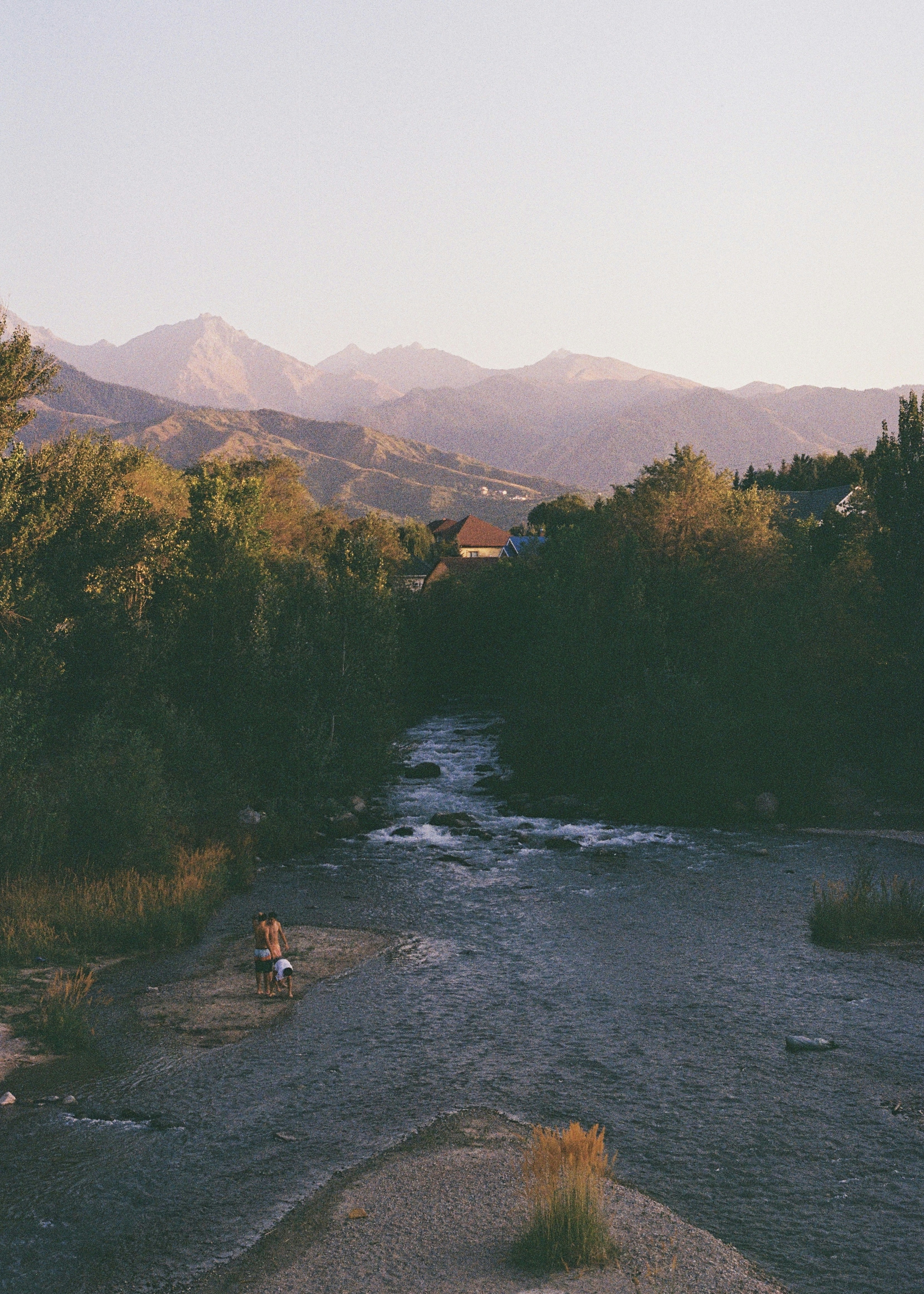 A river flows through trees towards distant mountains.