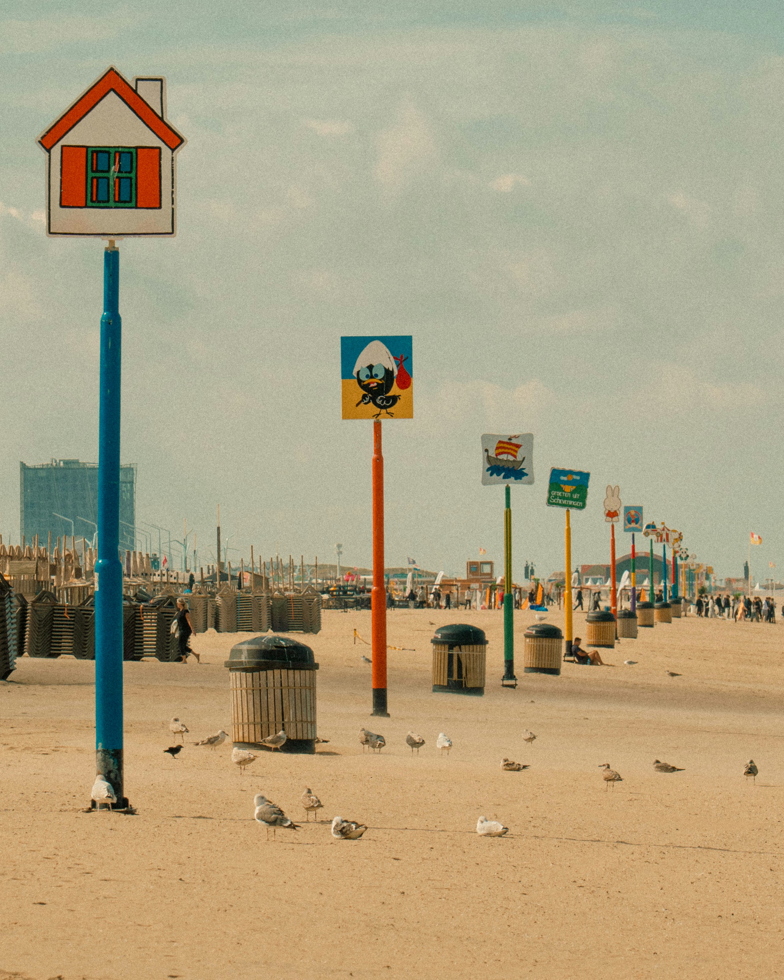 Beach with colorful signs and seagulls on sand photo – Free Beach Image ...