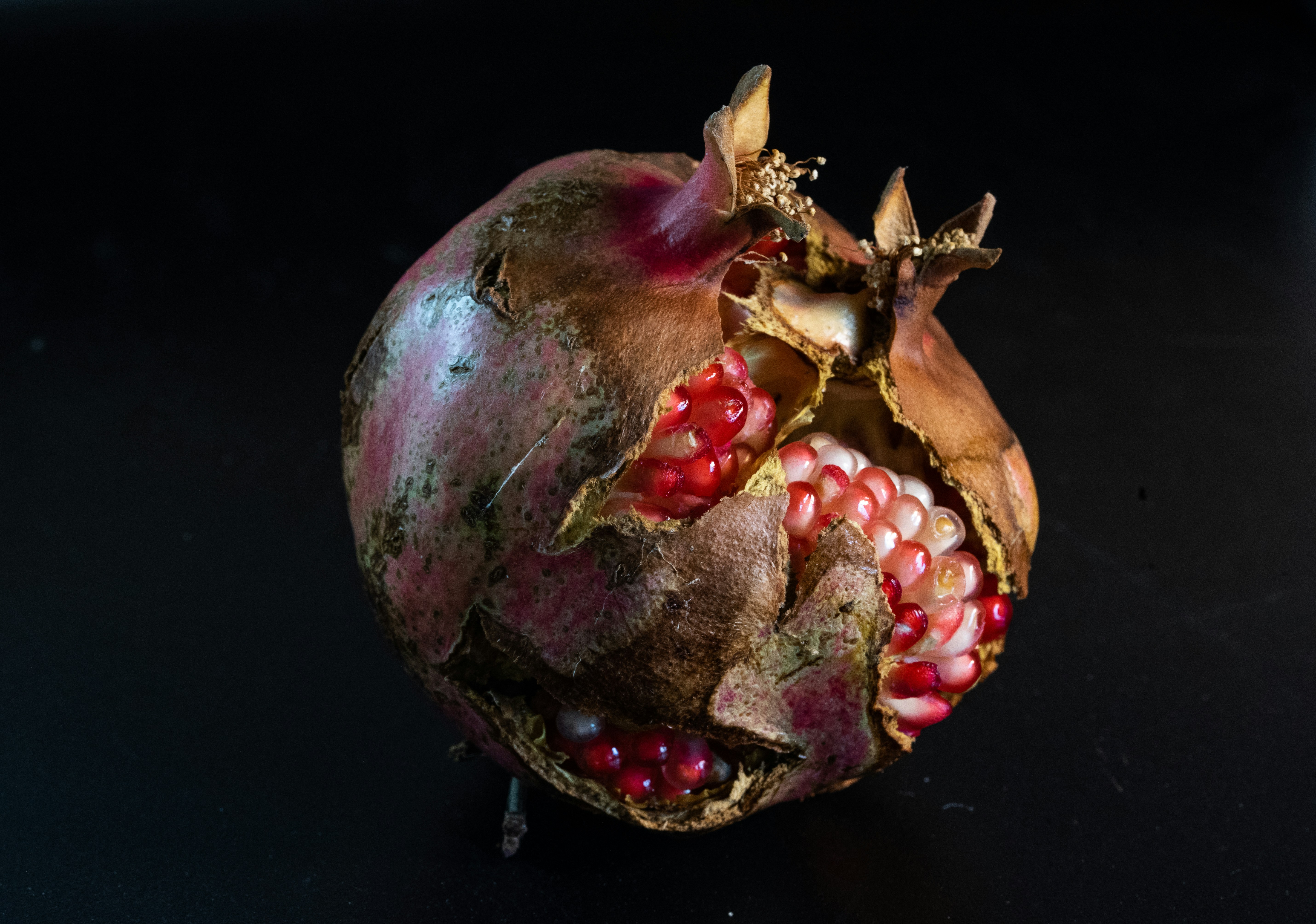 The Secrets Within: A Pomegranate's Reveal