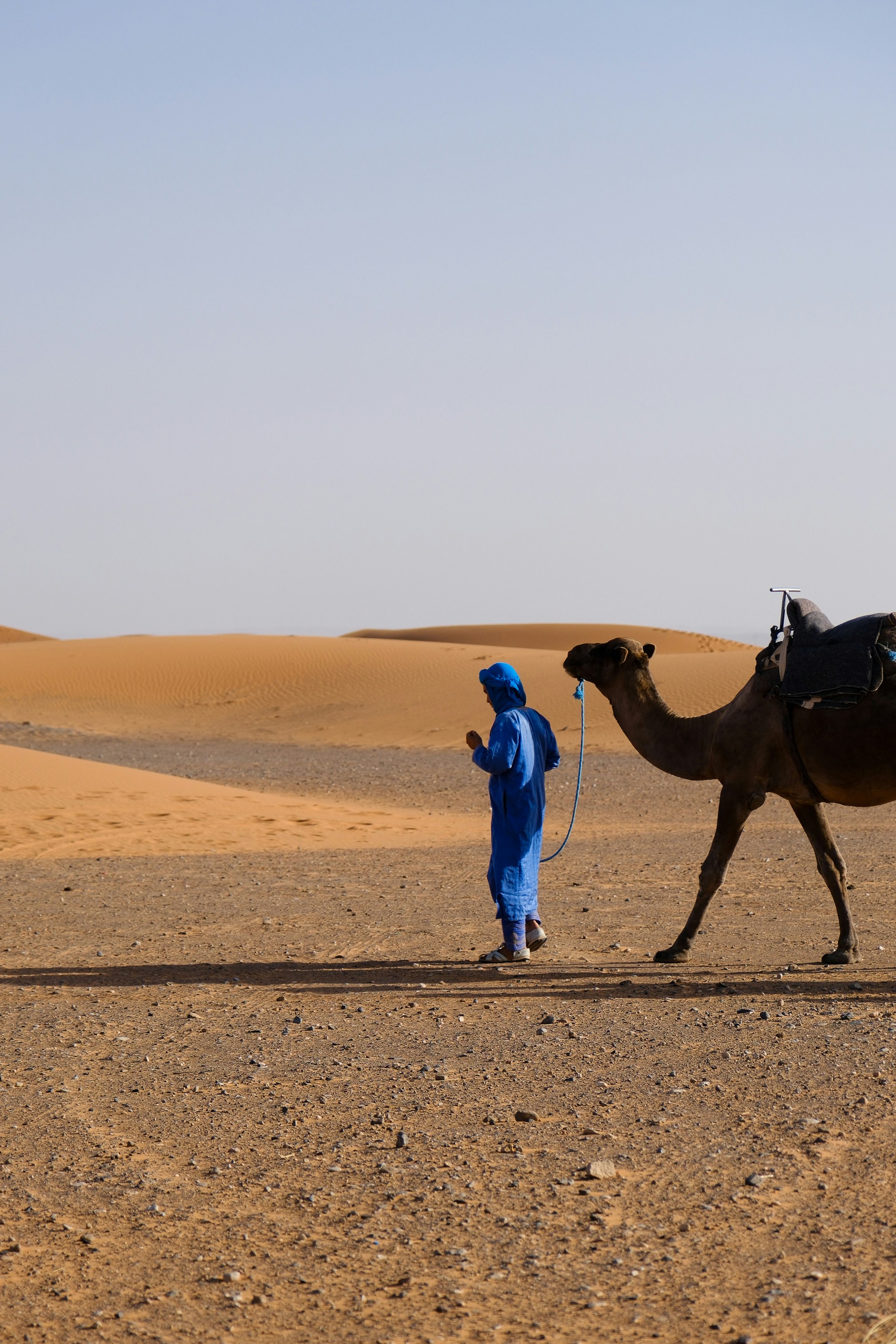 Man in blue walks with a camel in the desert.