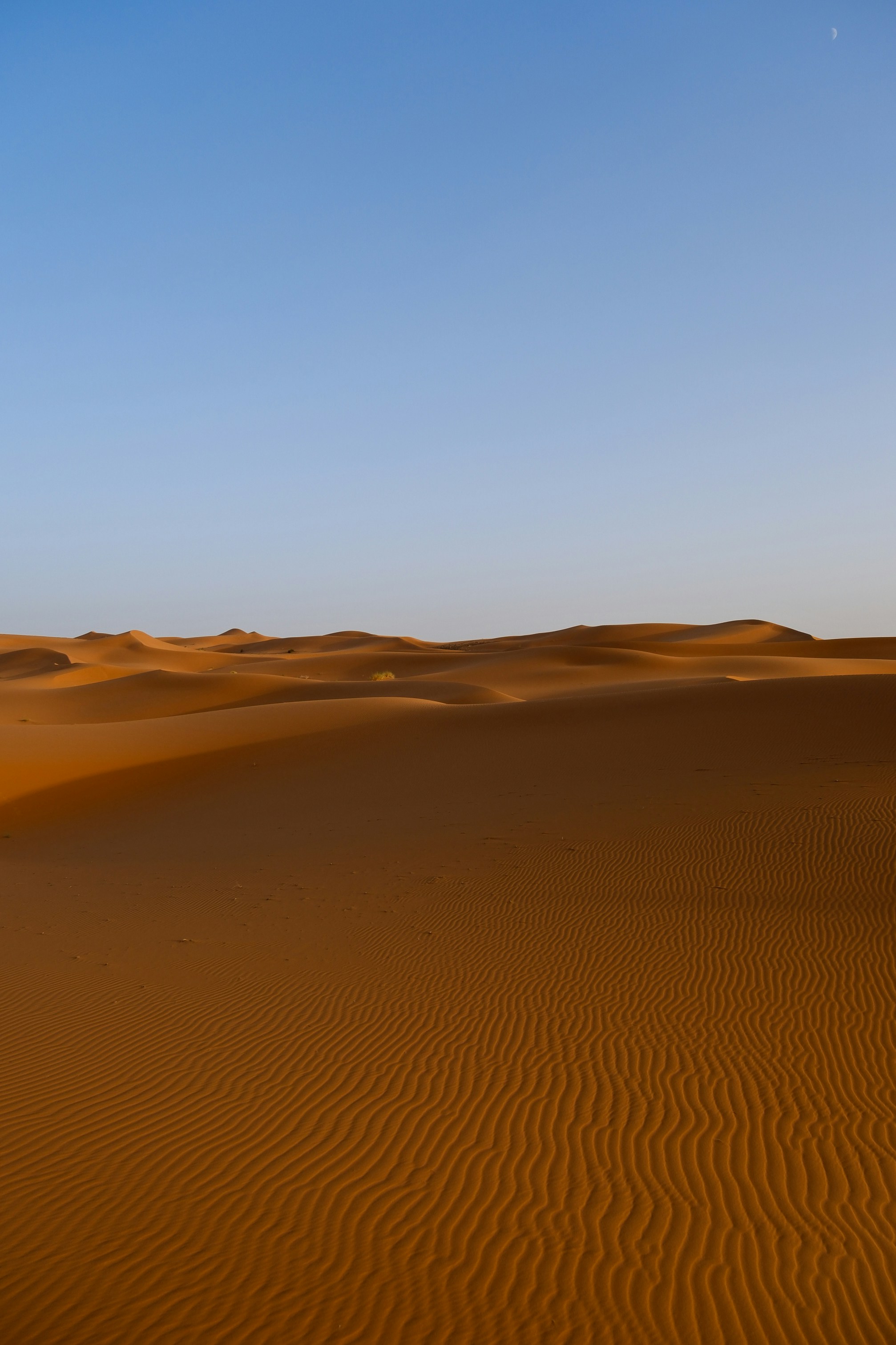 Whispers of the Dunes