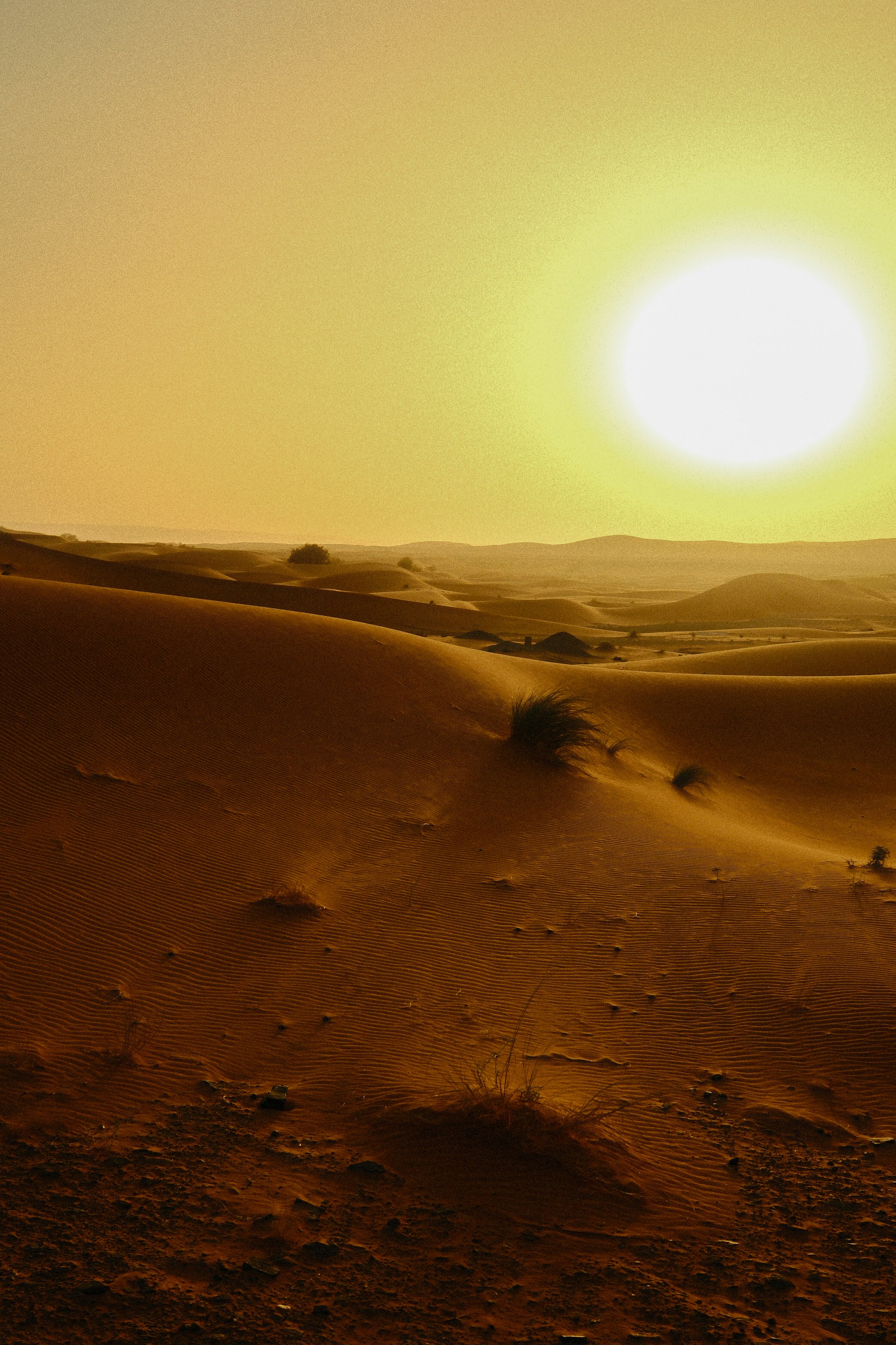 Golden Dunes Beneath the Setting Sun