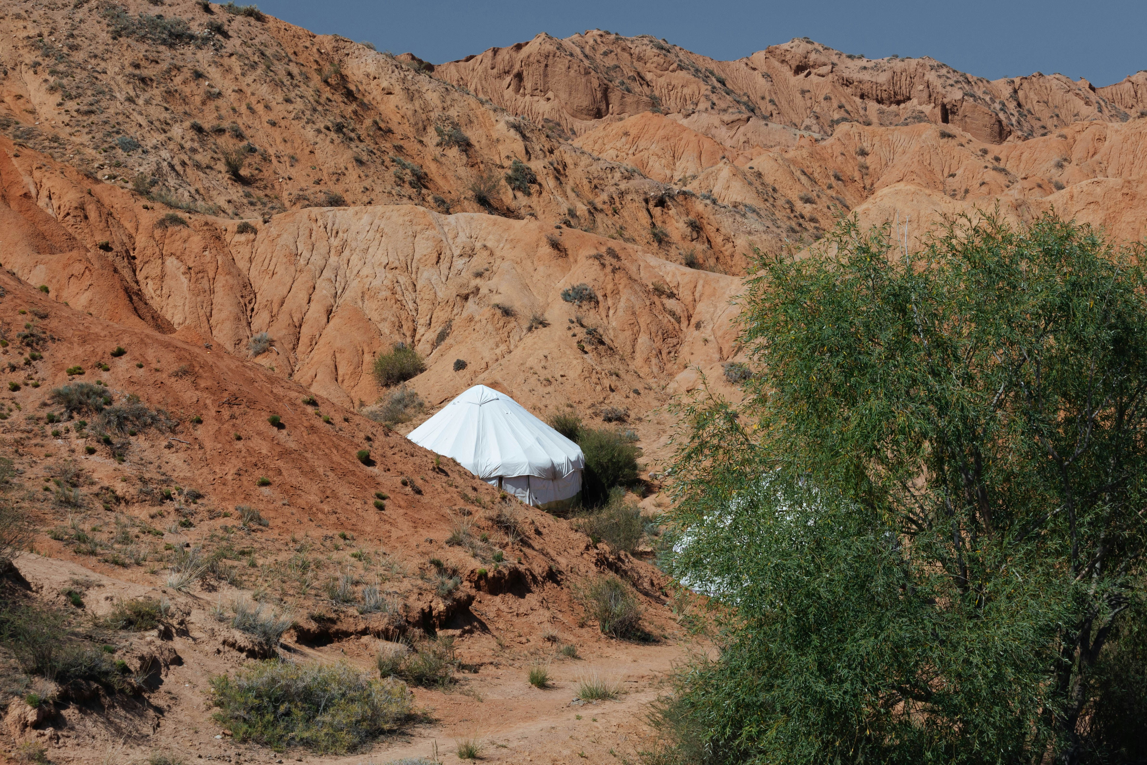 Harmony Amidst the Arid Landscape