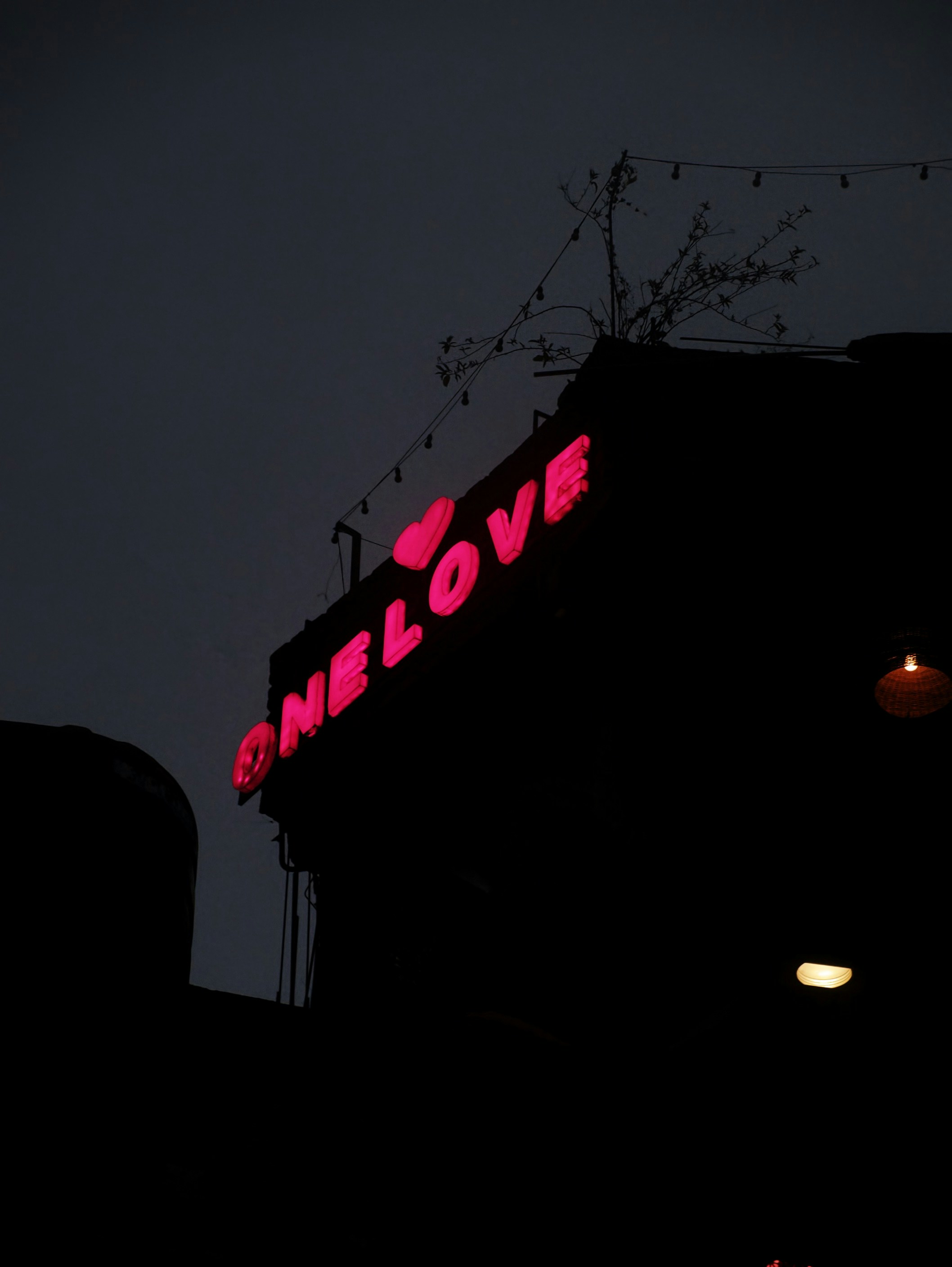 Glowing neon sign reading 'ONE LOVE' against a darkening sky, illuminated by warm light from nearby fixtures.