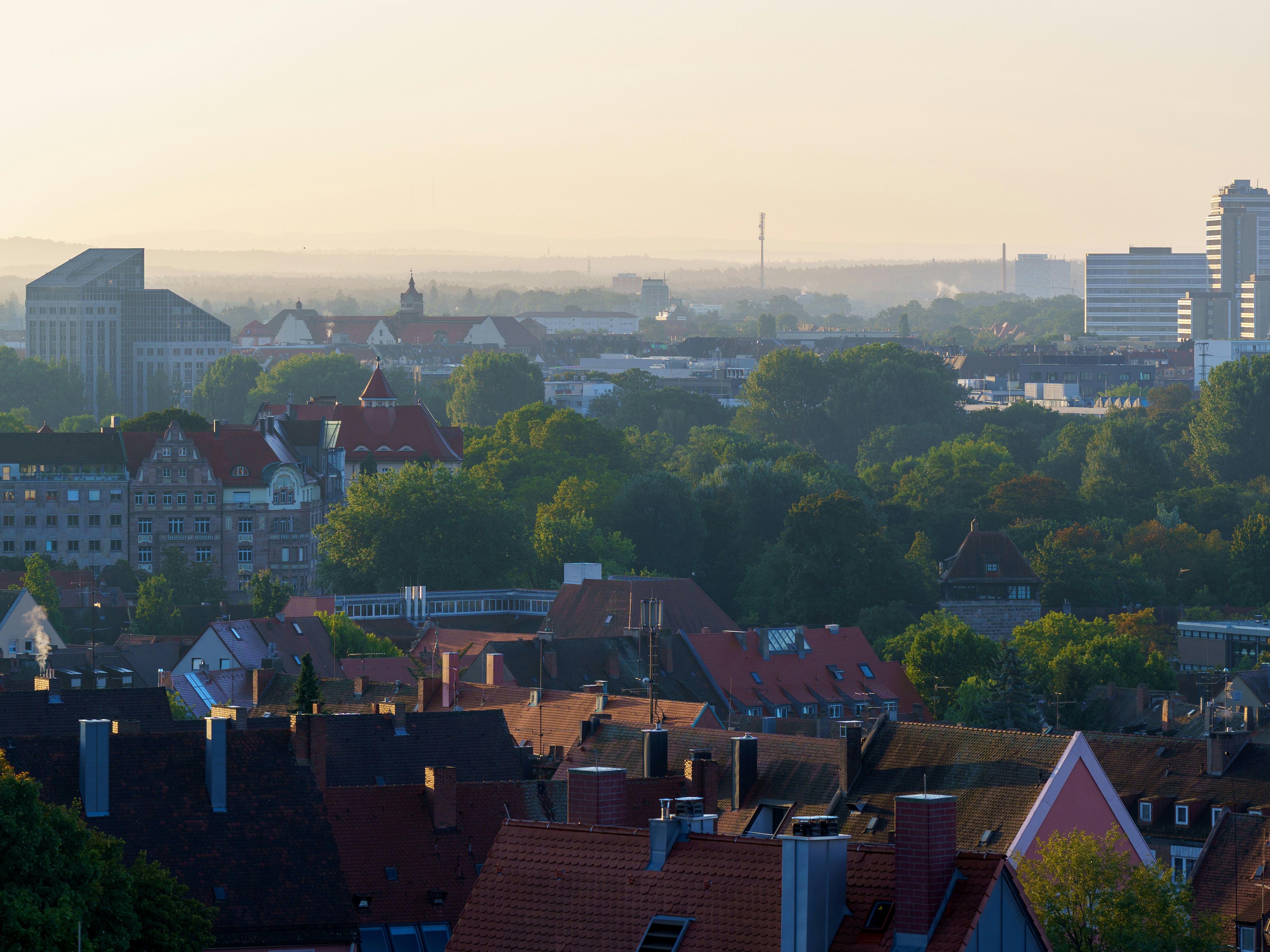A panoramic view of a cityscape featuring a blend of rooftops and greenery under the soft morning light.