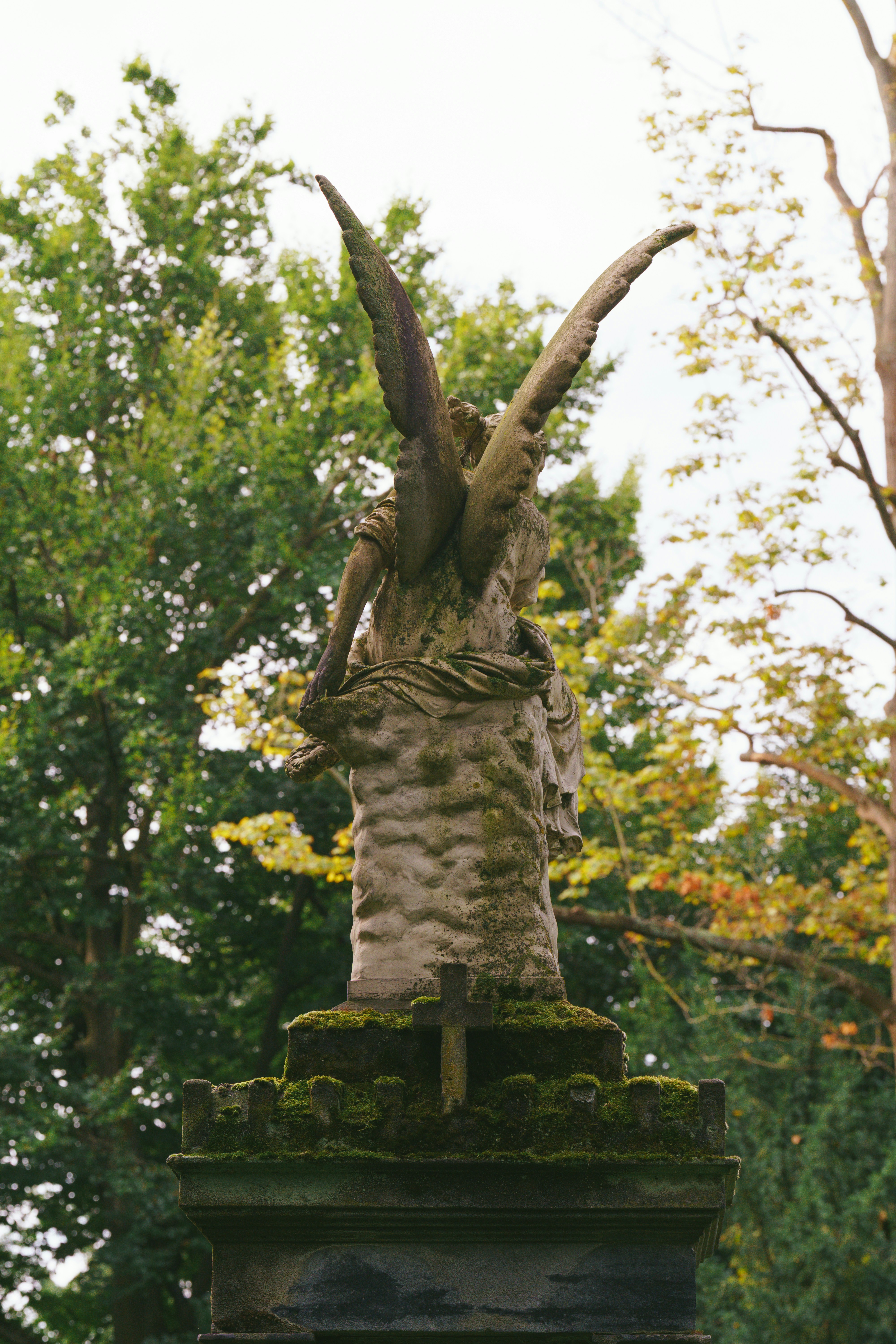 Stone angel statue with outstretched wings against trees