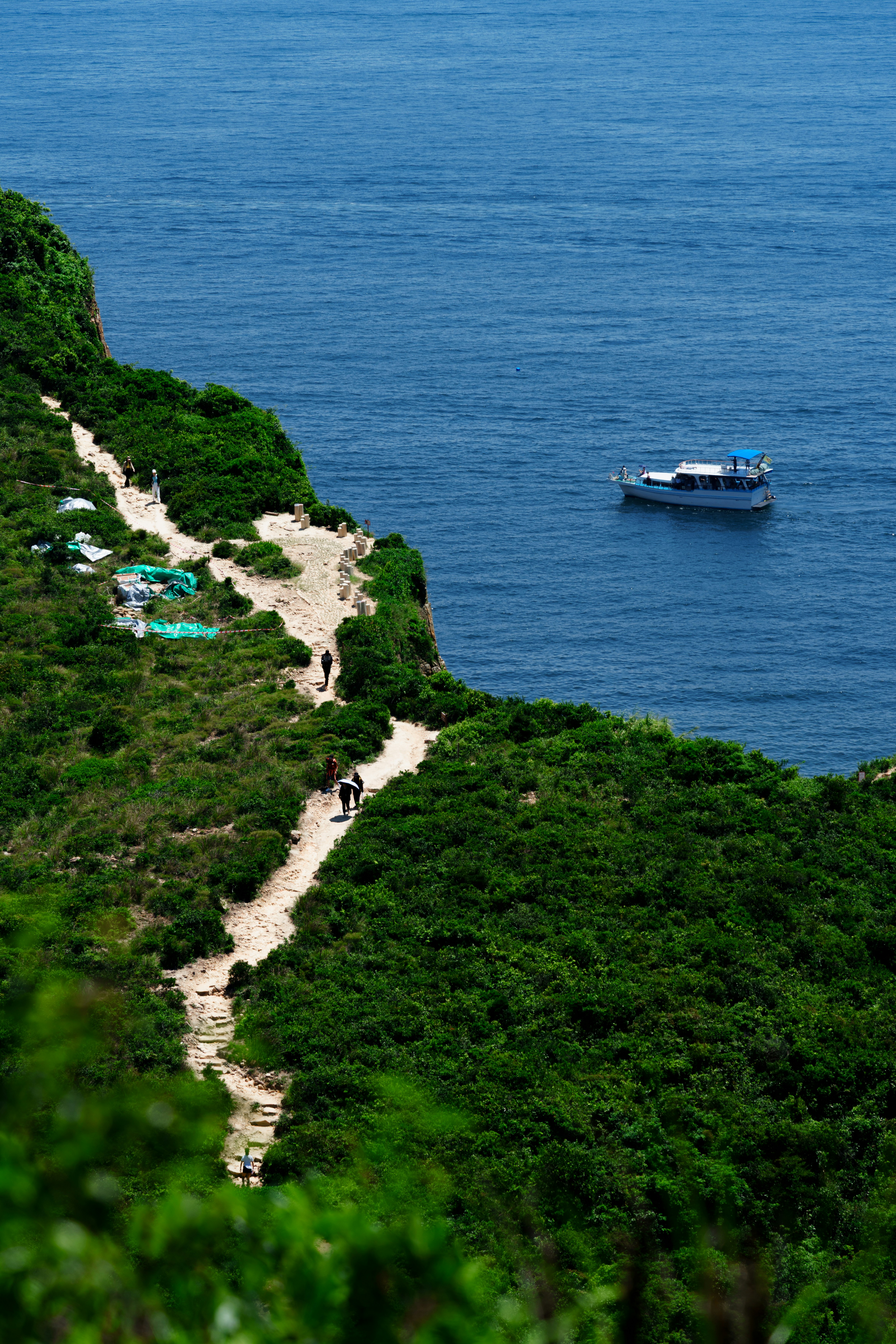 Winding Pathway to Tranquility