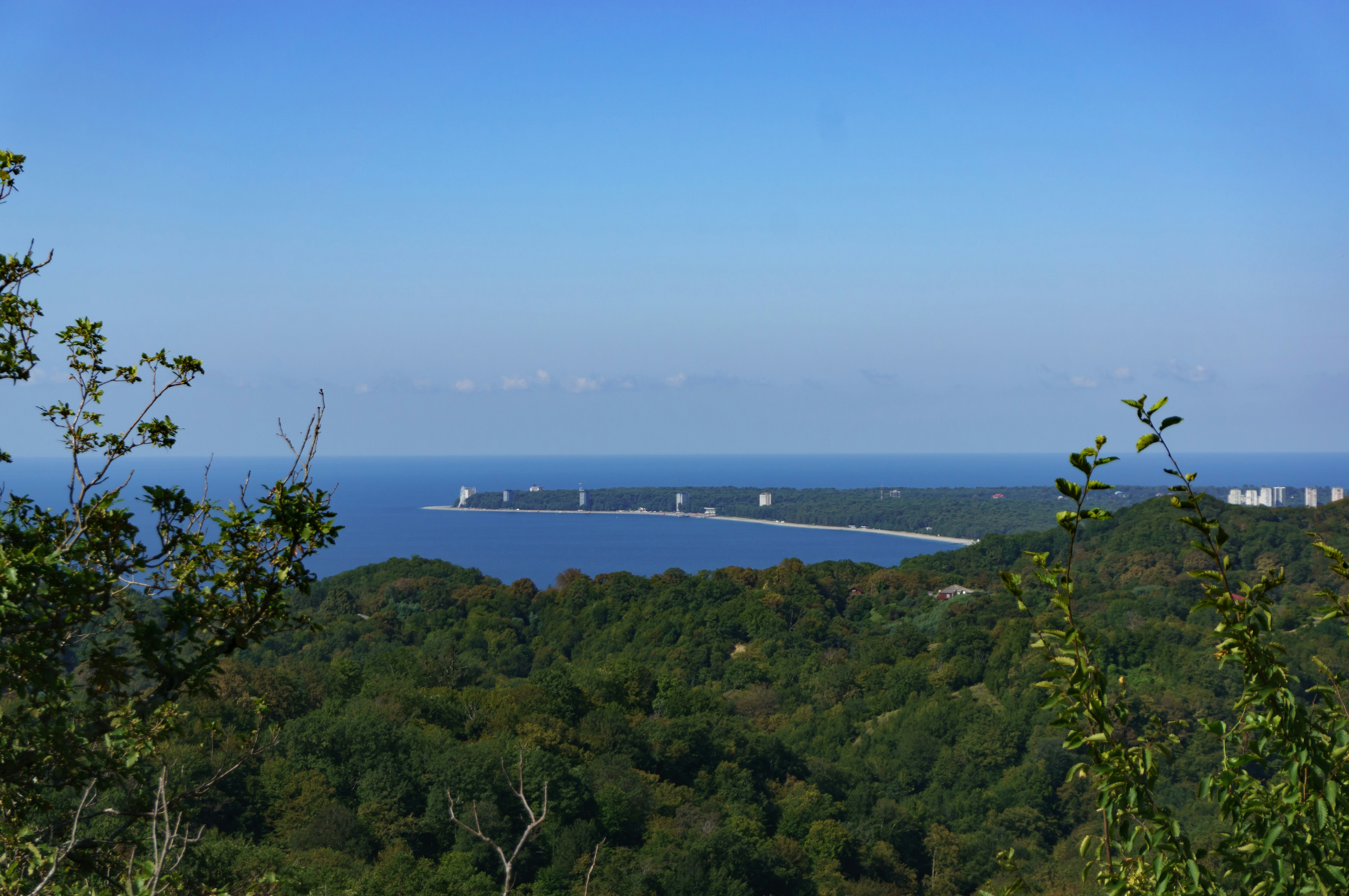 Coastal landscape with lush green forest and blue ocean.