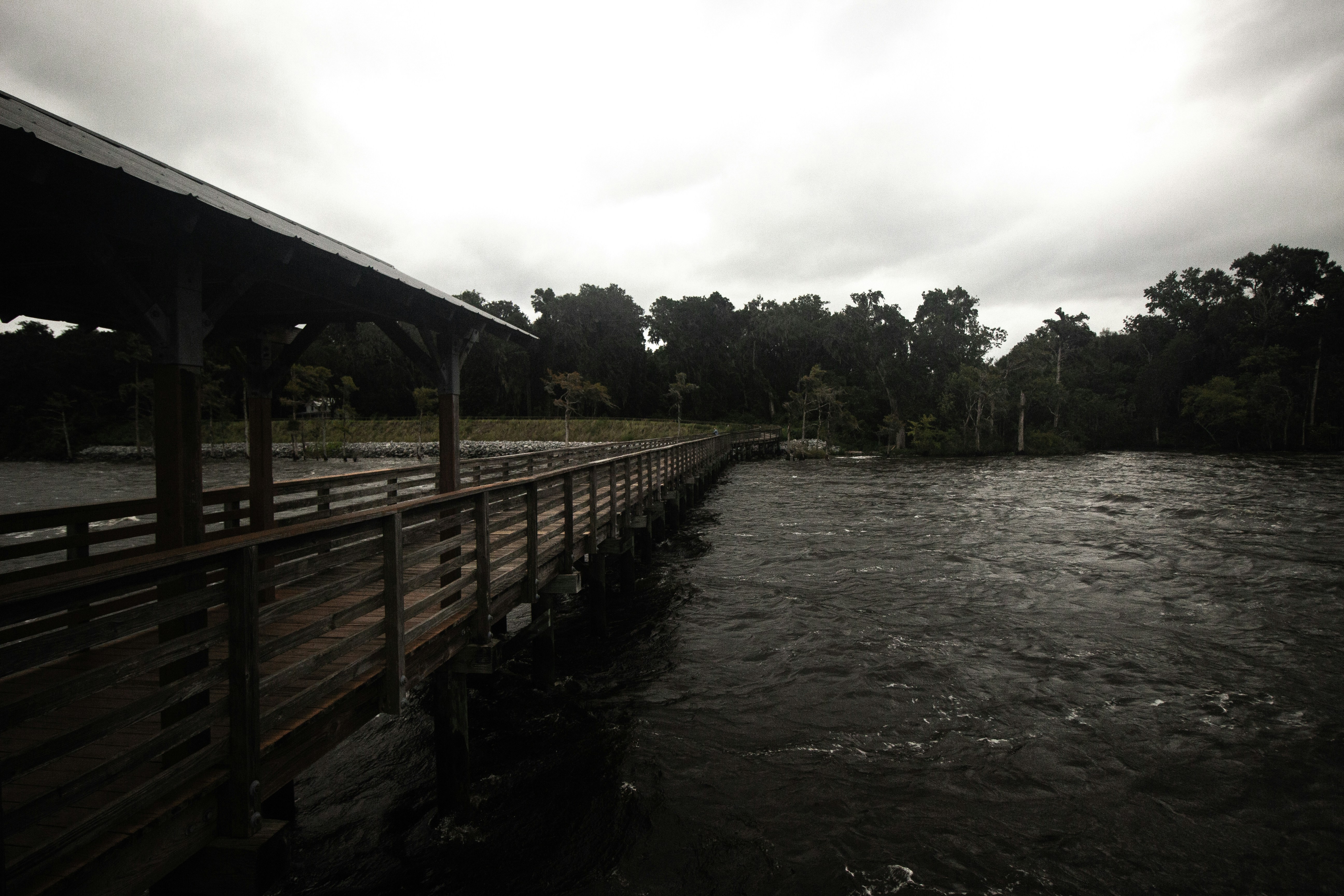 Wooden boardwalk along a dark, choppy river photo – Free Image on Unsplash