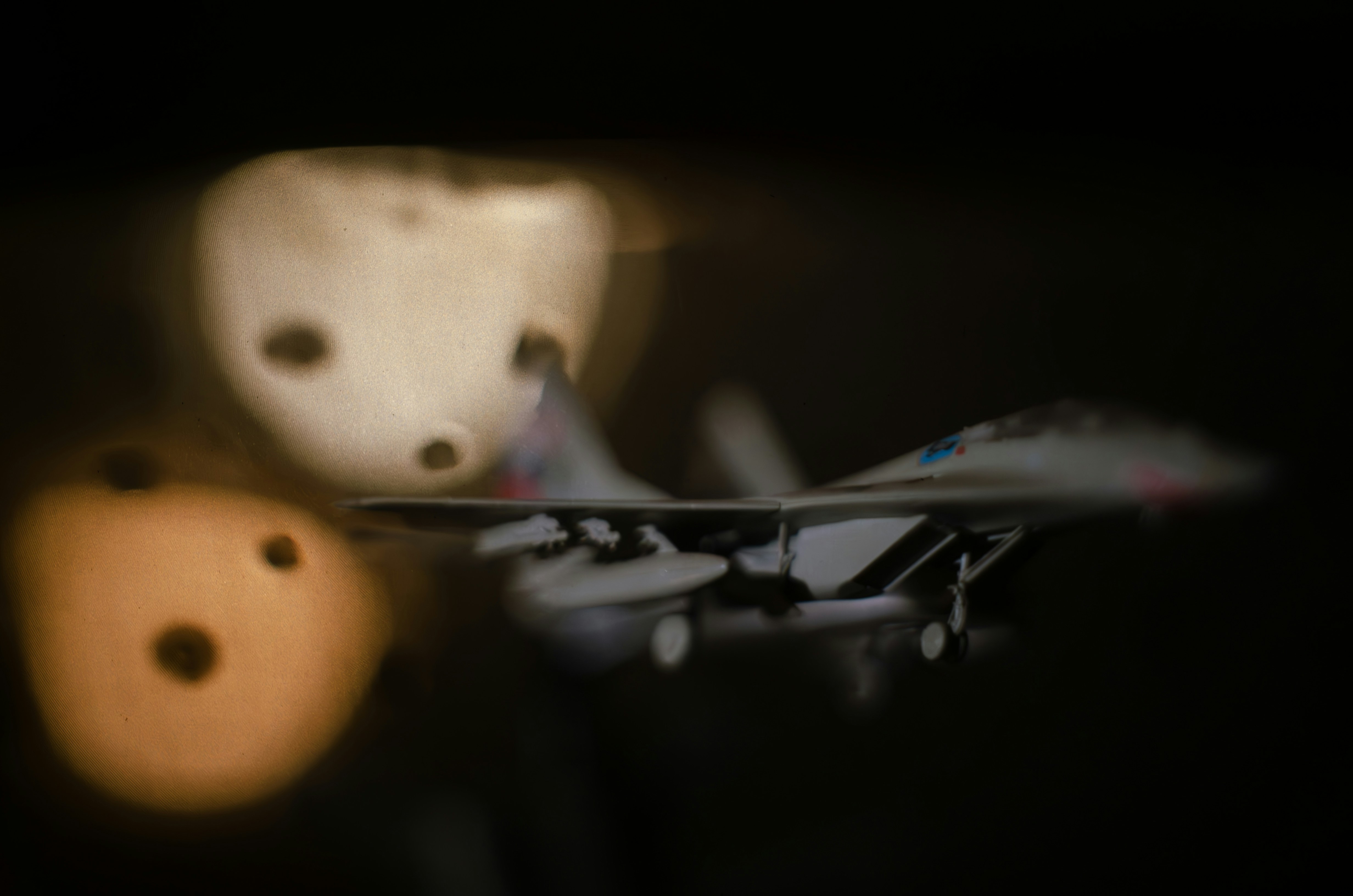 Flight of Imagination: A Model's Journey