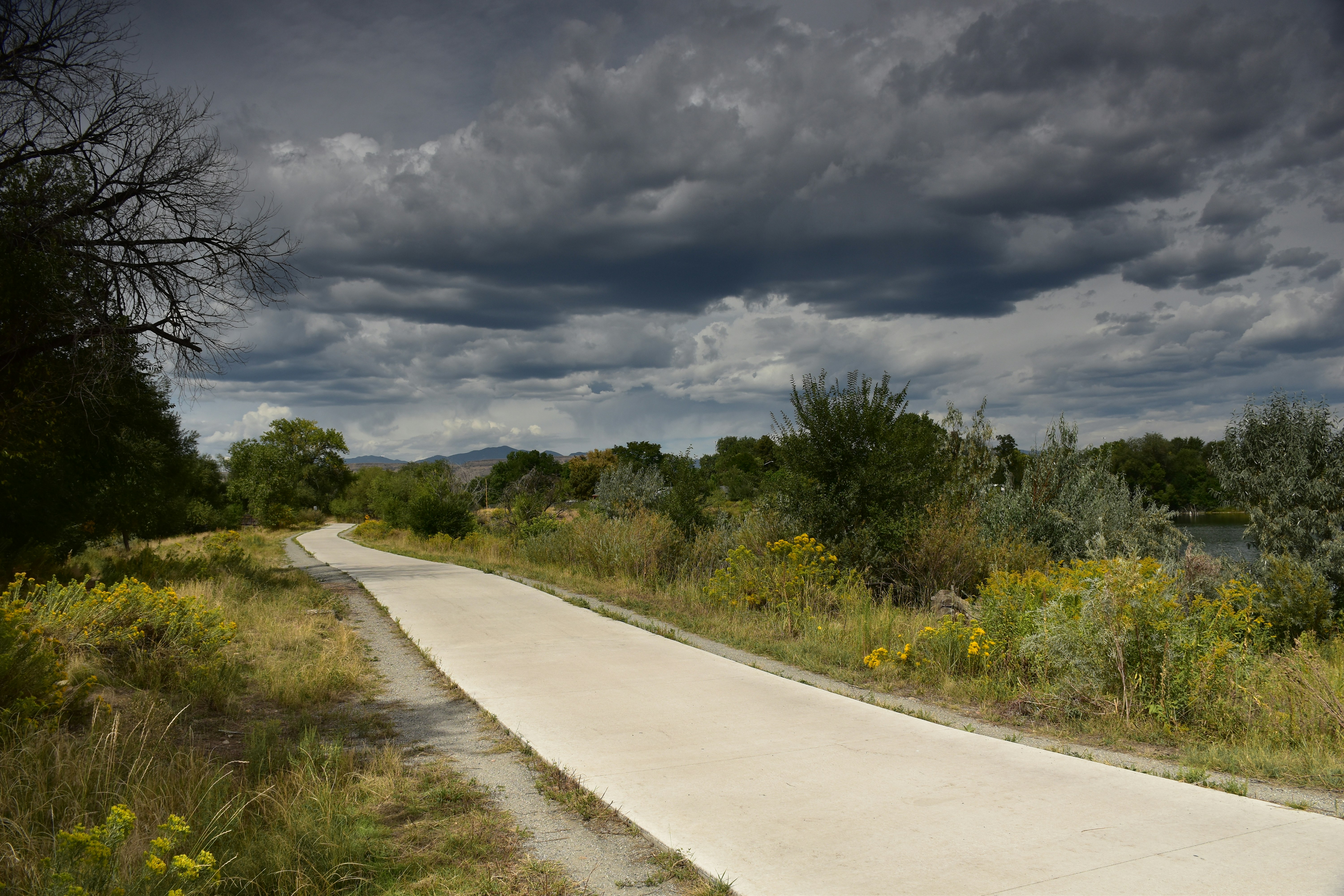 Pathway Through Nature's Canvas