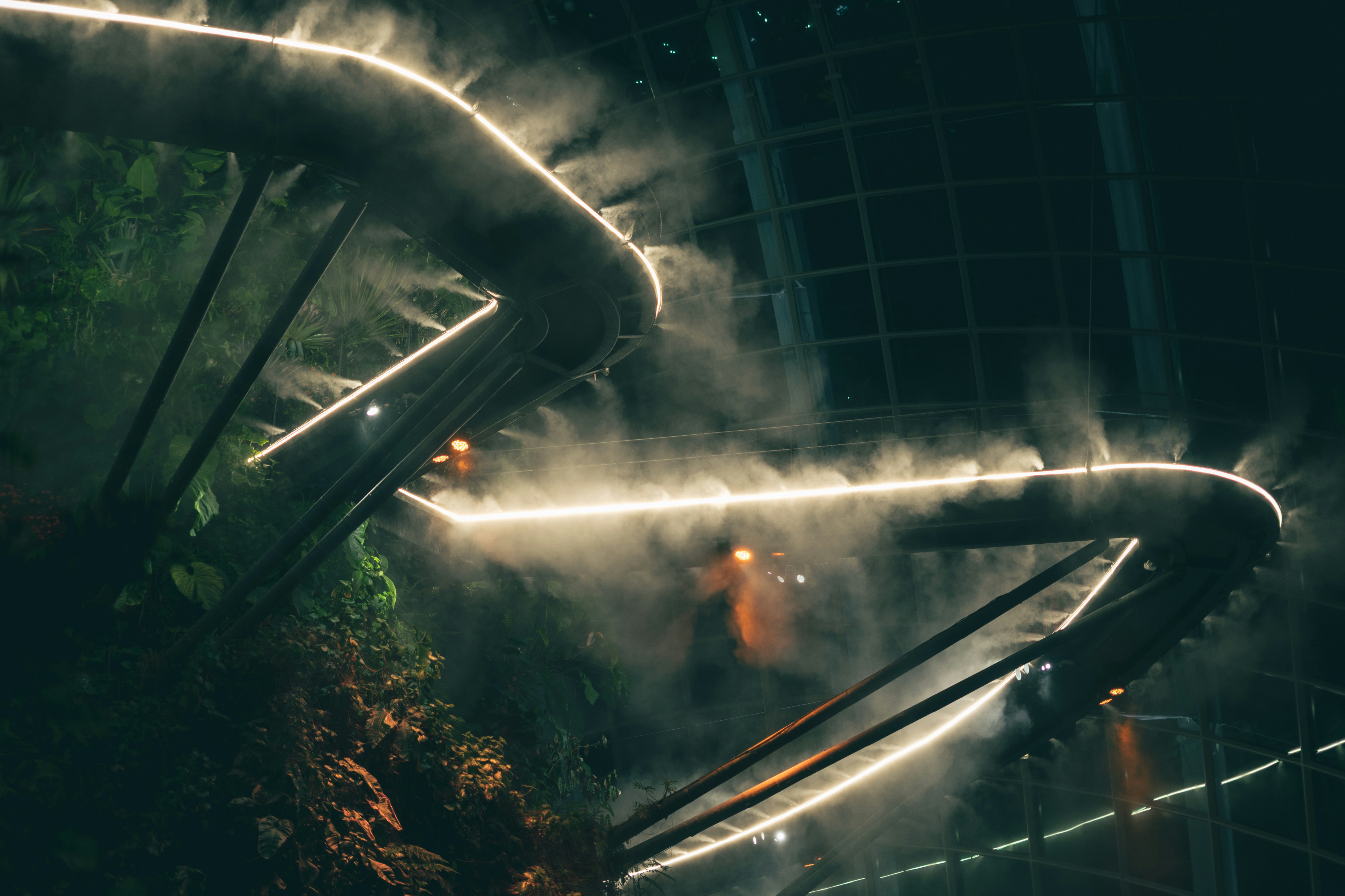 Veiled Pathways: A Dance of Light and Mist