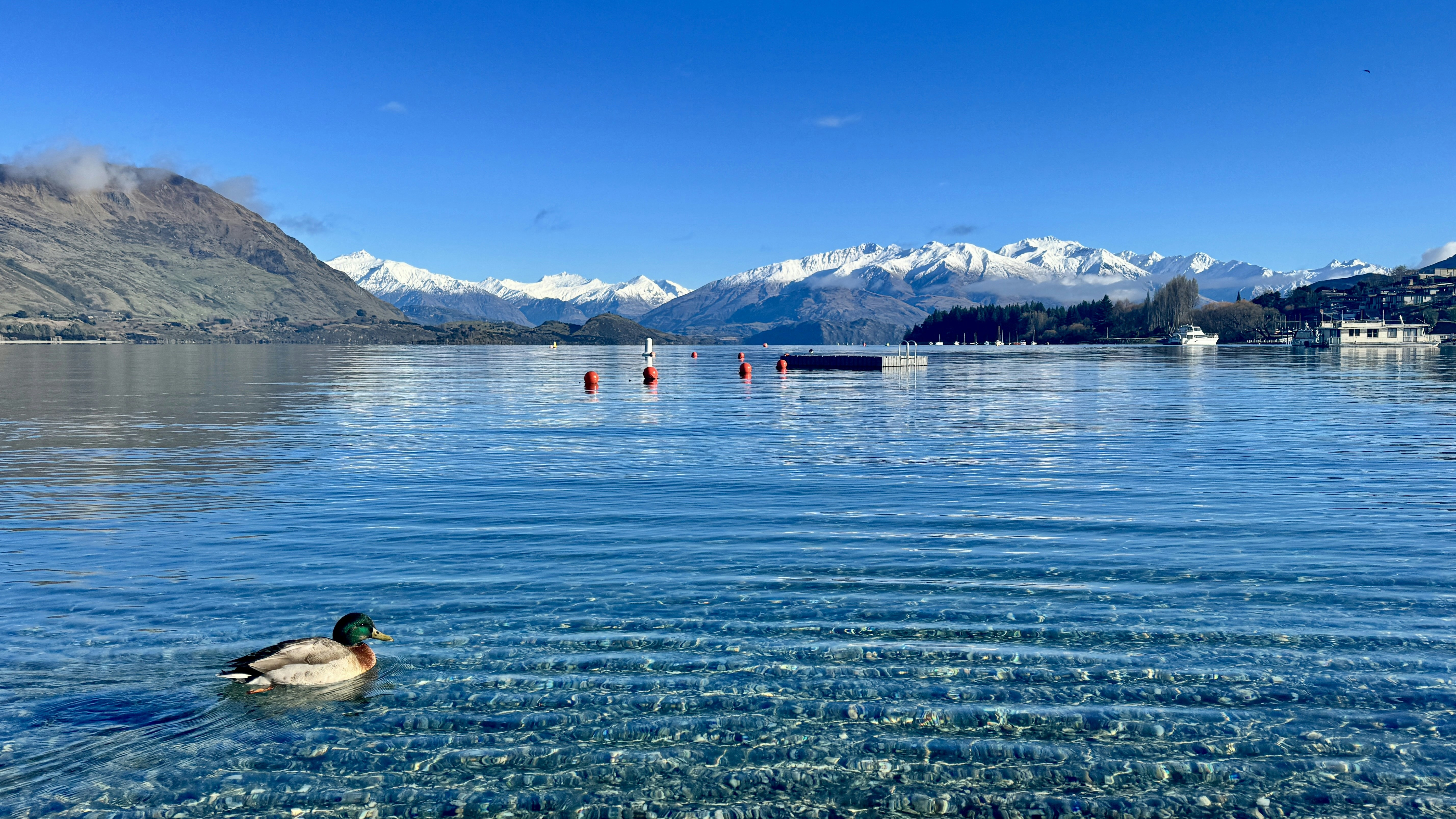 Serenity at the Water's Edge