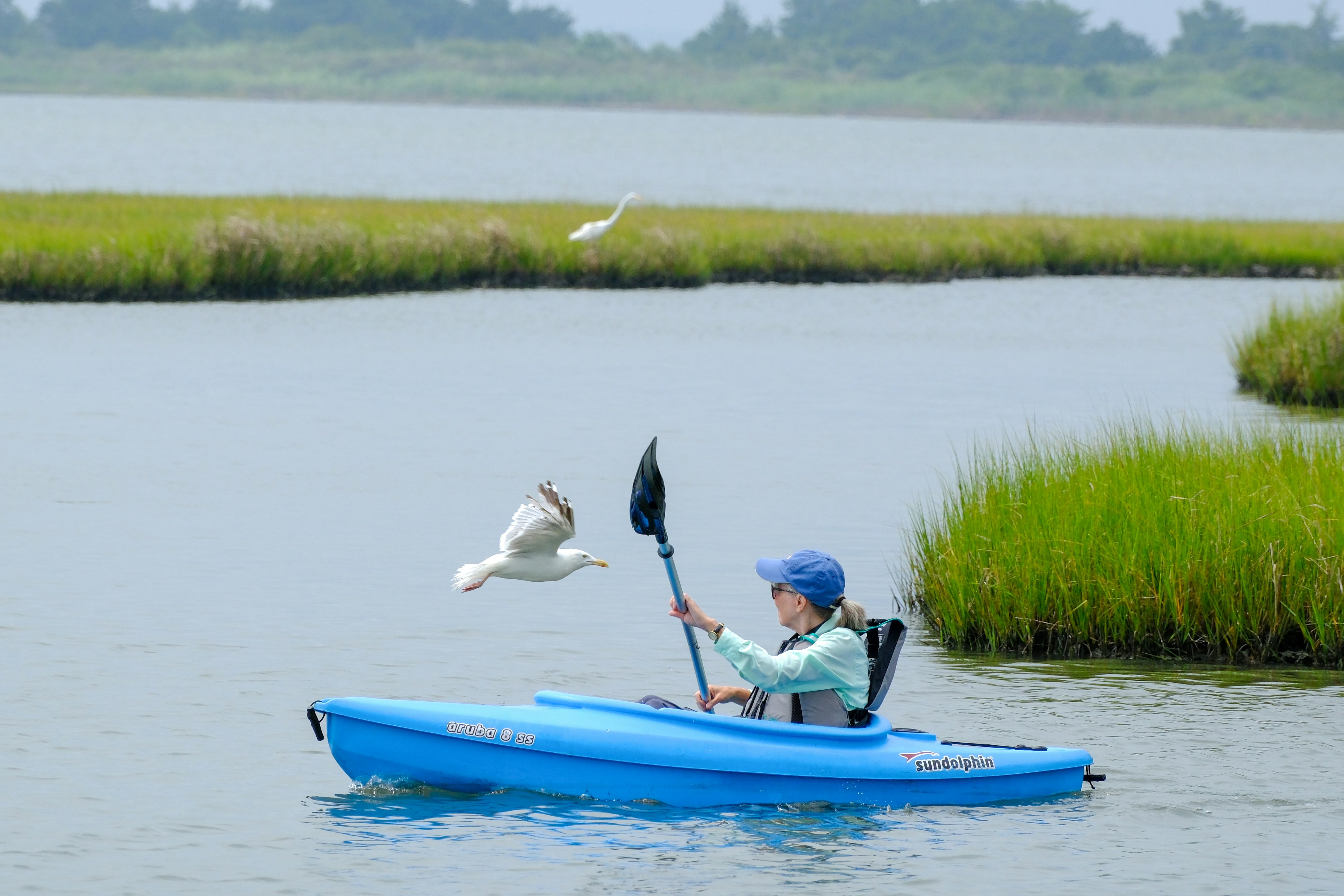 A person kayaks near seagulls in a marshy area.