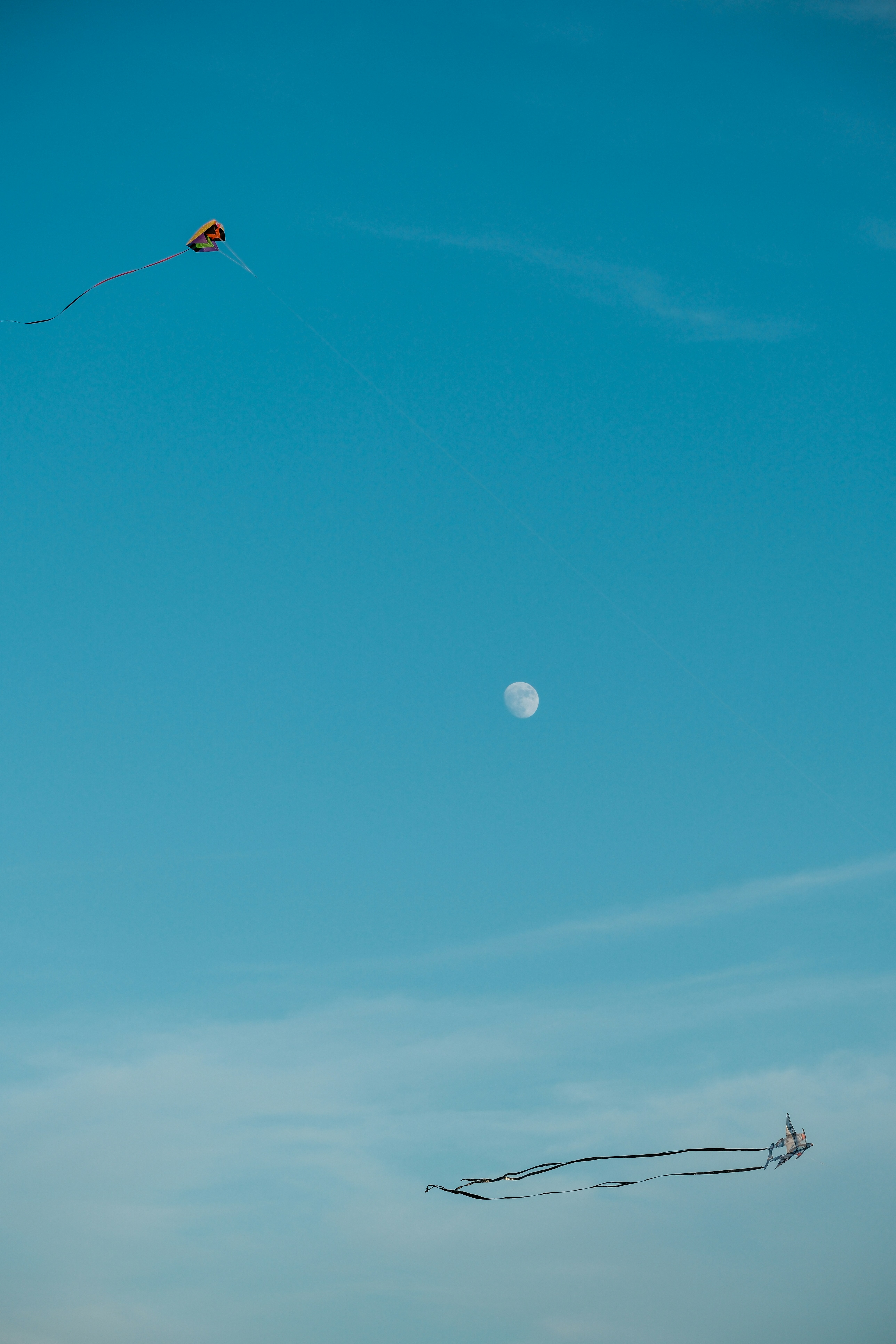 Kites in Harmony with the Moonlit Sky