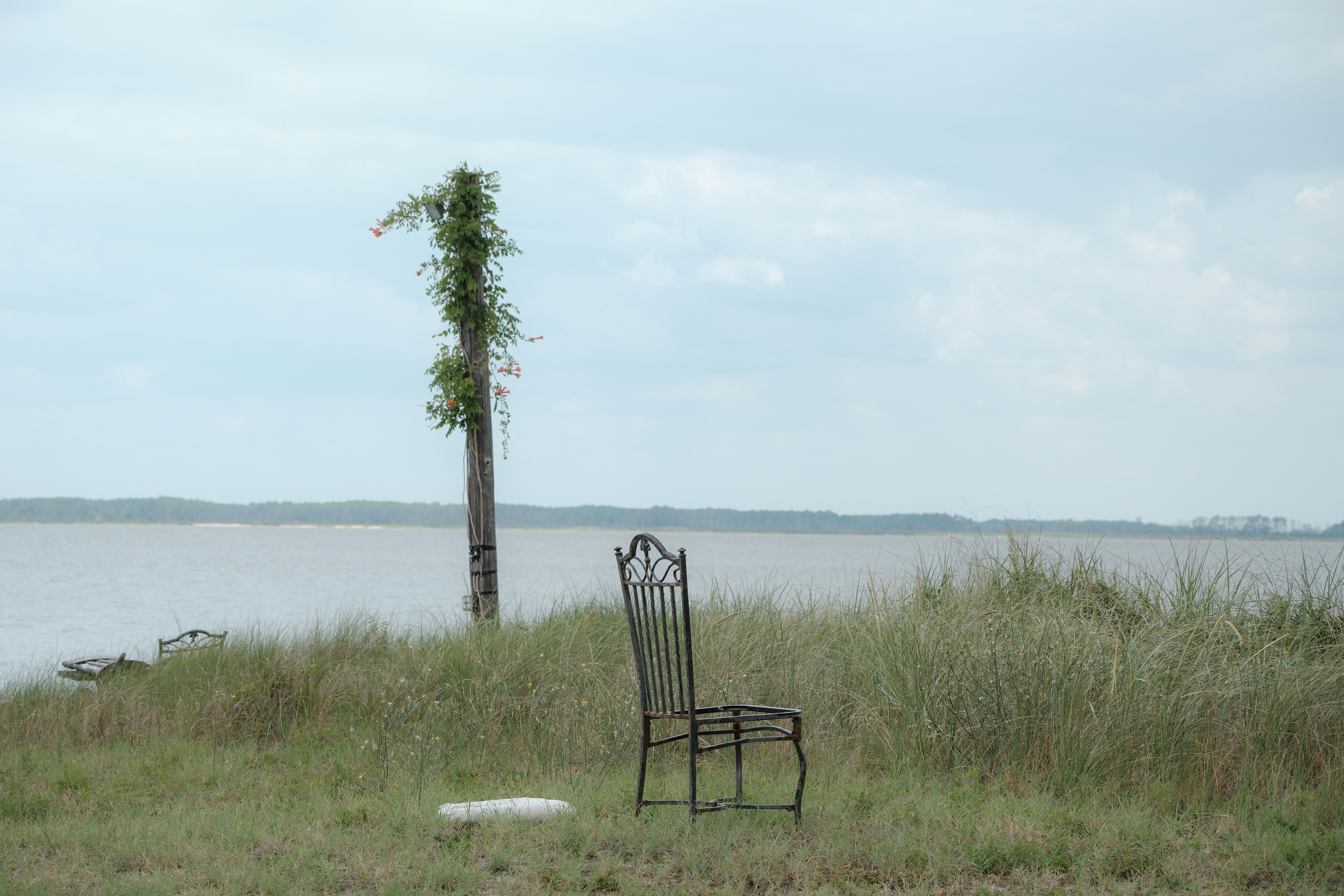 Solitude by the Water's Edge