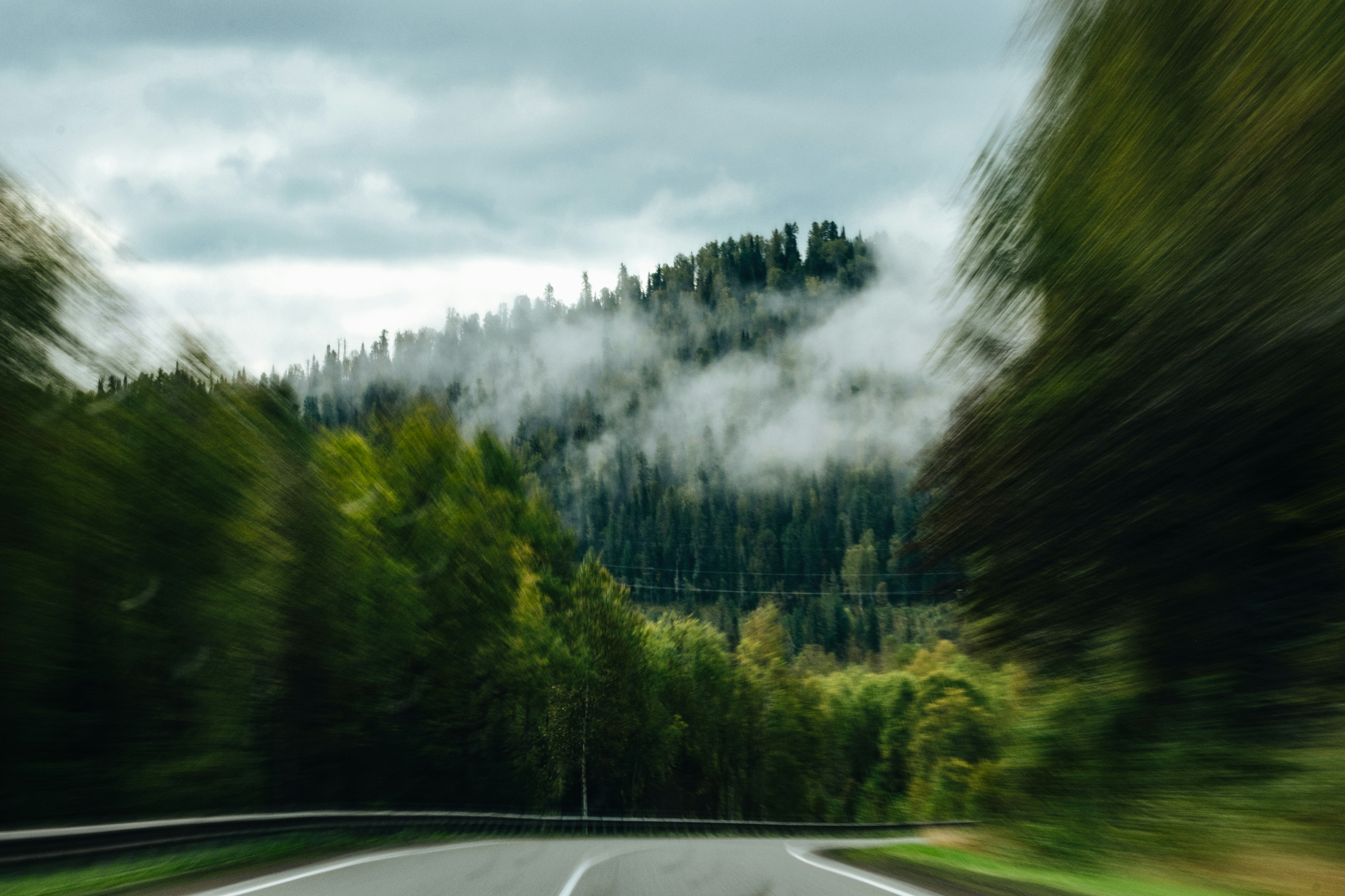First-person view from a car. Road to Ergaki Nature Park. | Driving through a misty forest road