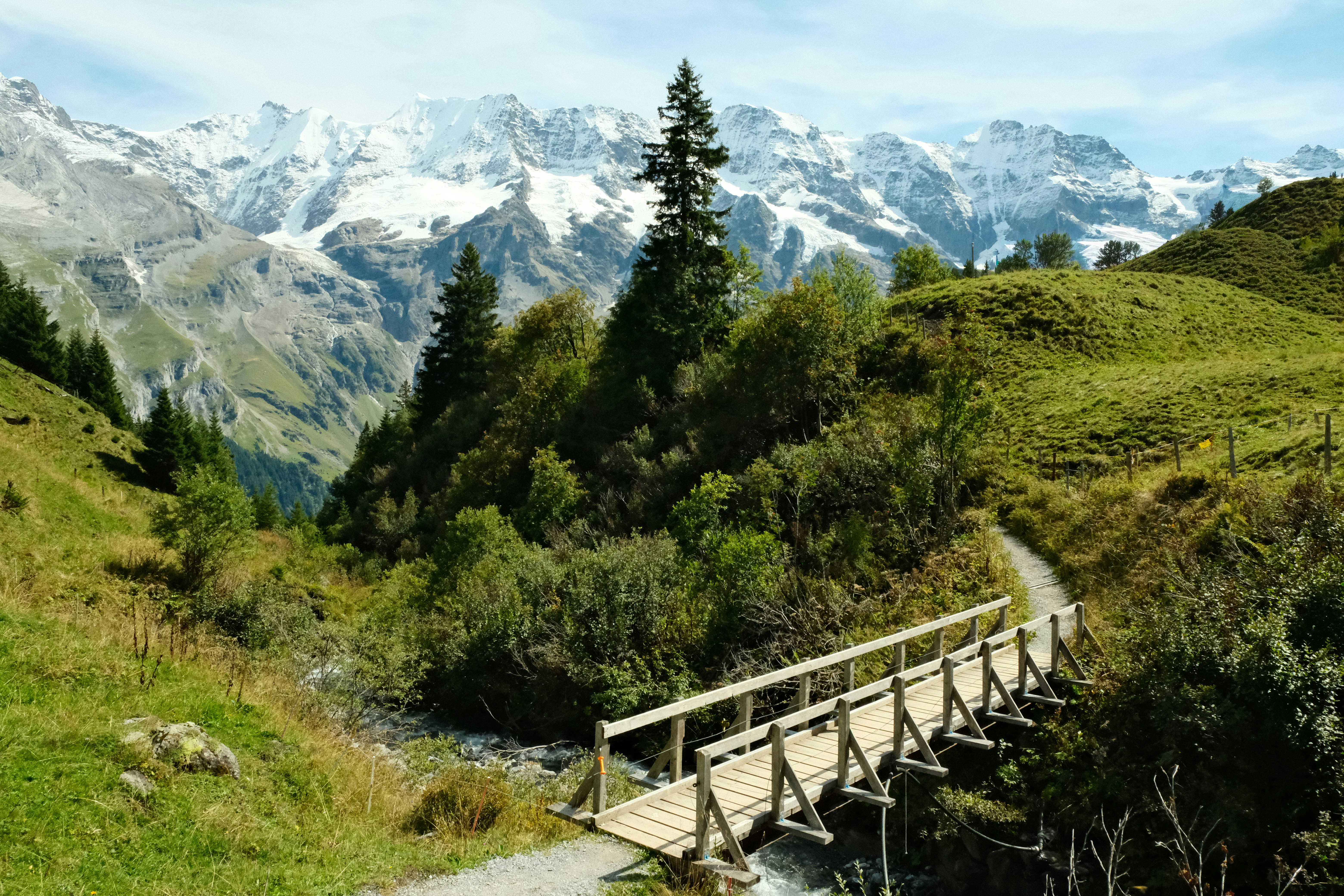 Bridging Nature's Majesty