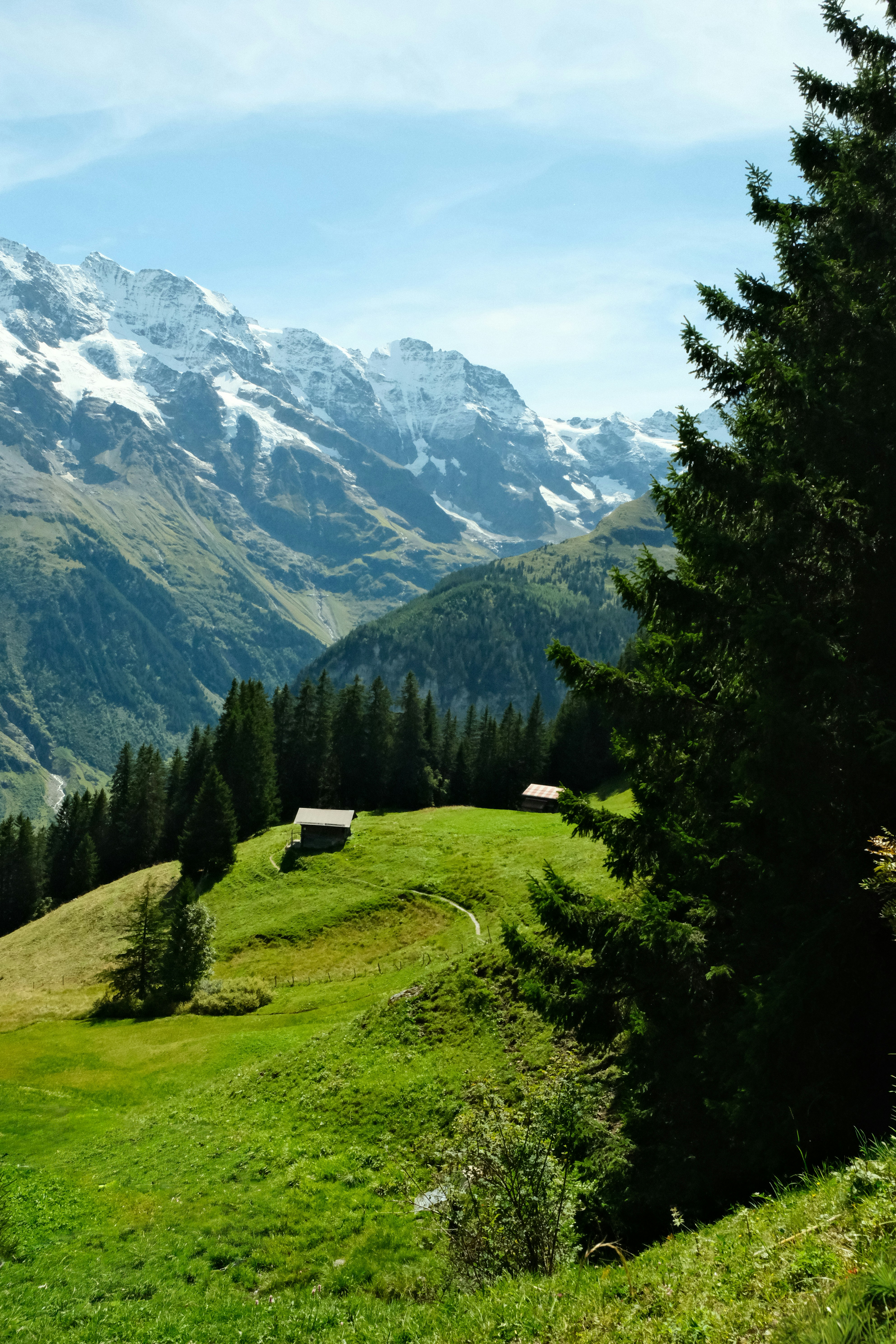 Green alpine meadow with snow-capped mountains and cabins