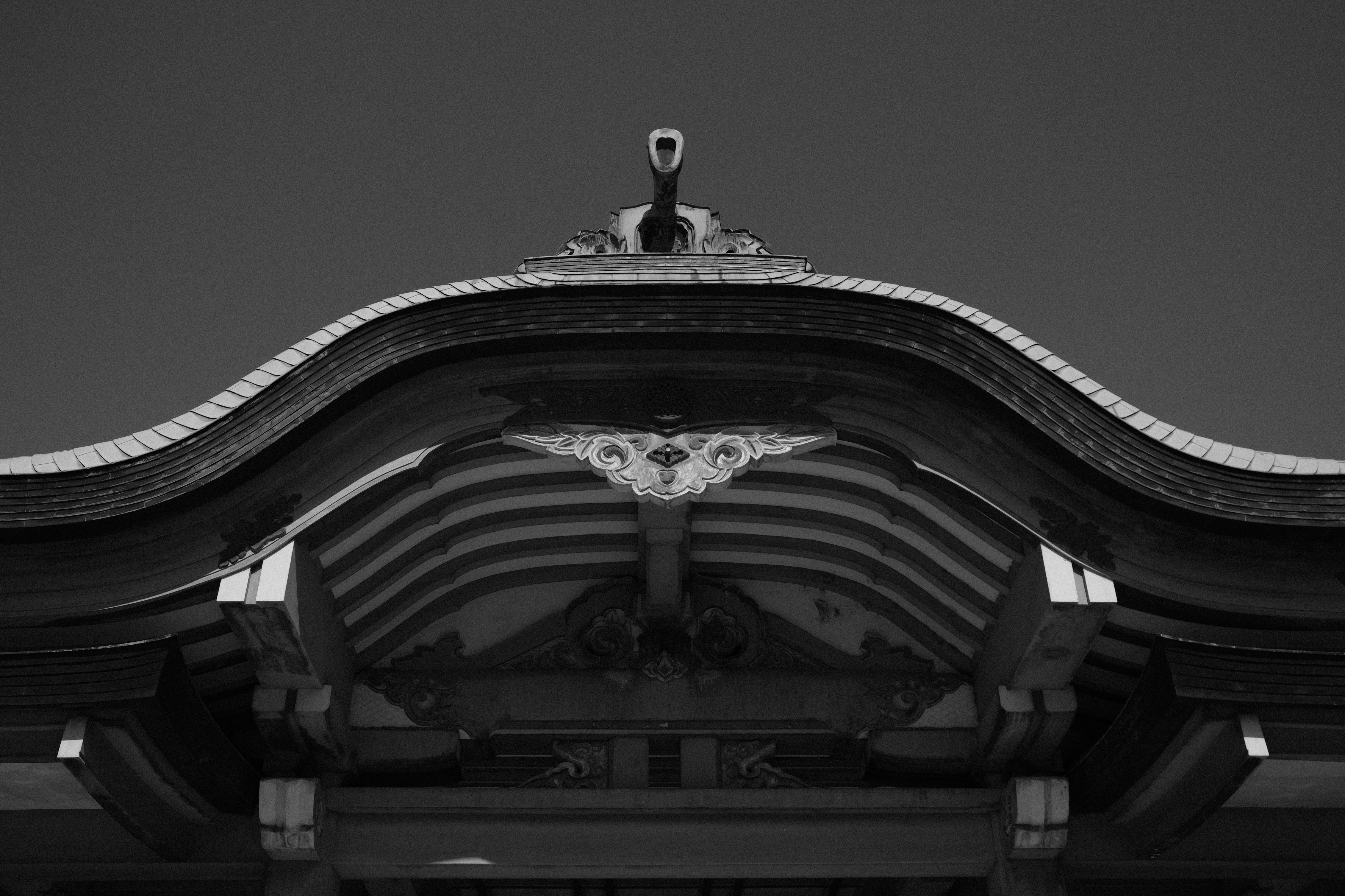 sakana (@sakana98) | Communauté photos Unsplash