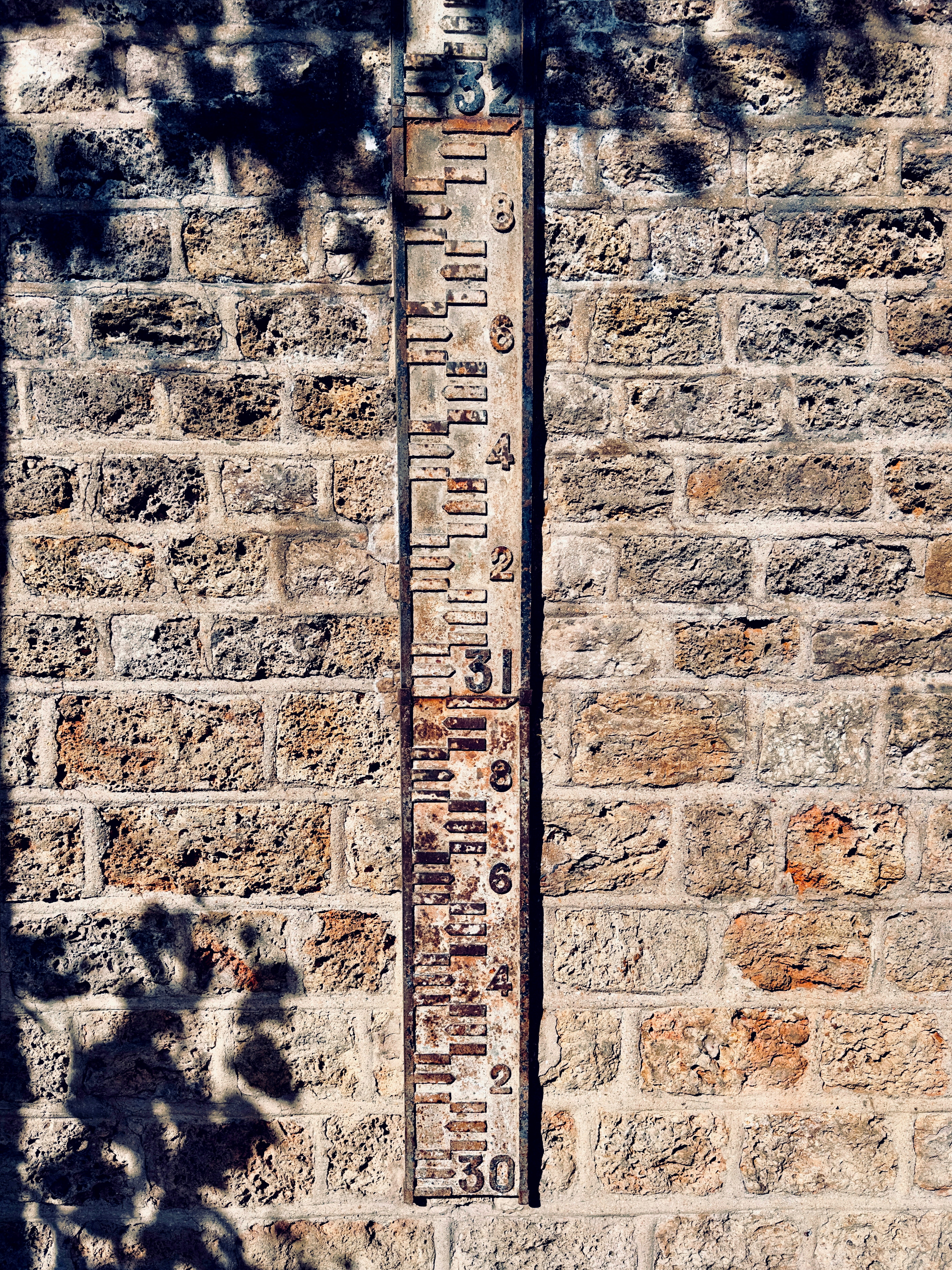 Timeworn Measure: A Vertical Chronicle