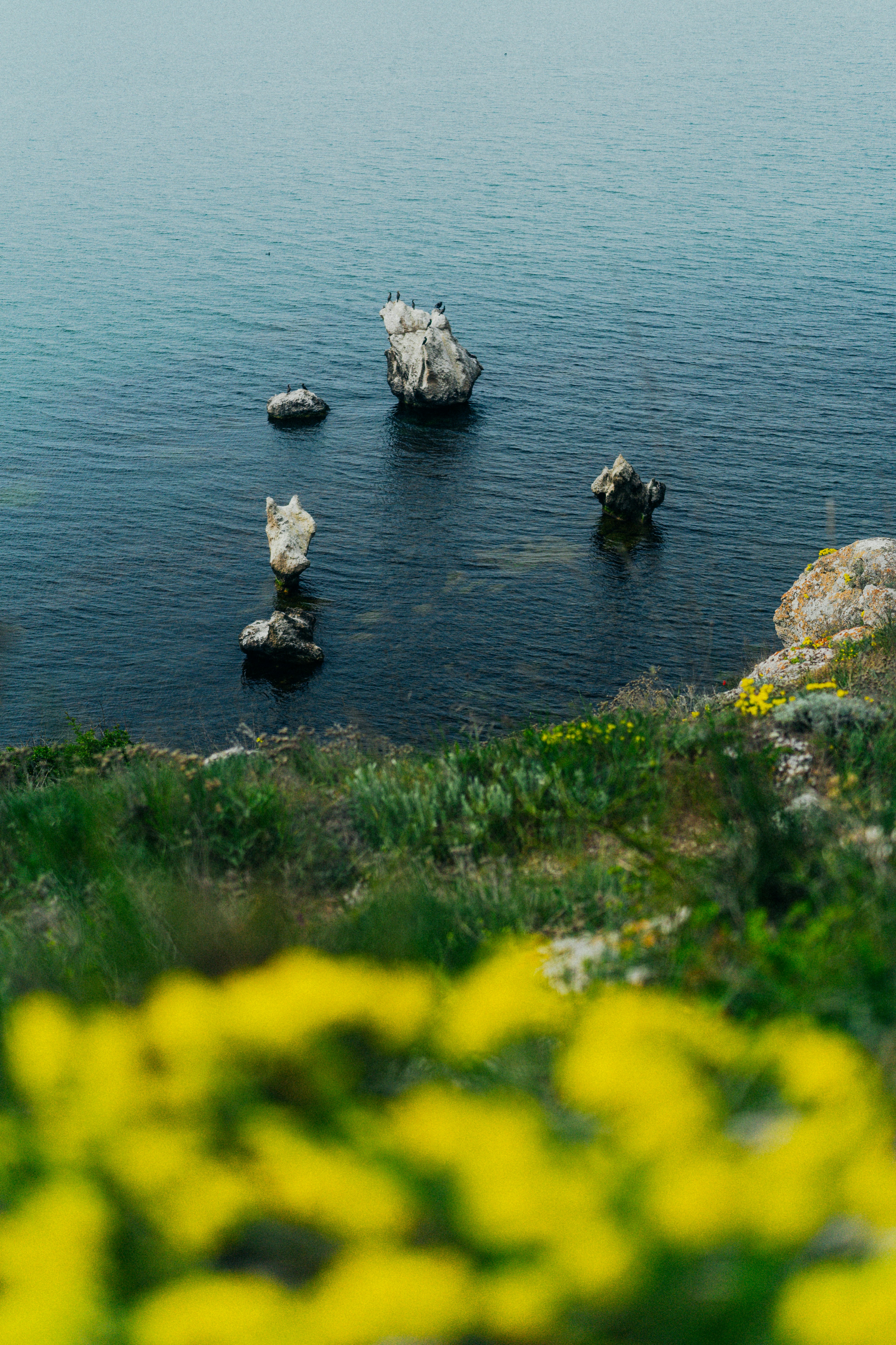 Whispers of the Shoreline