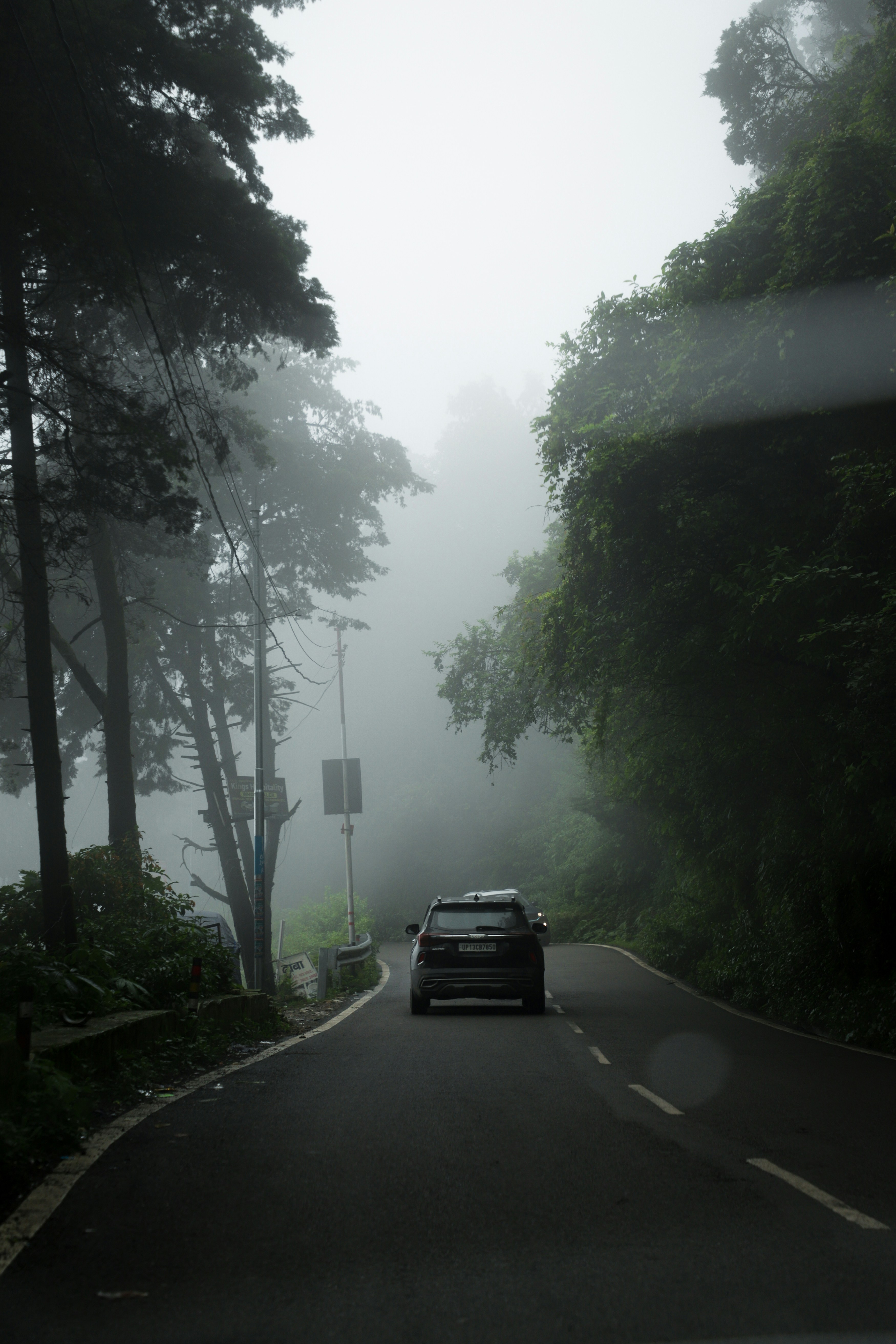 Journey Through the Misty Veil