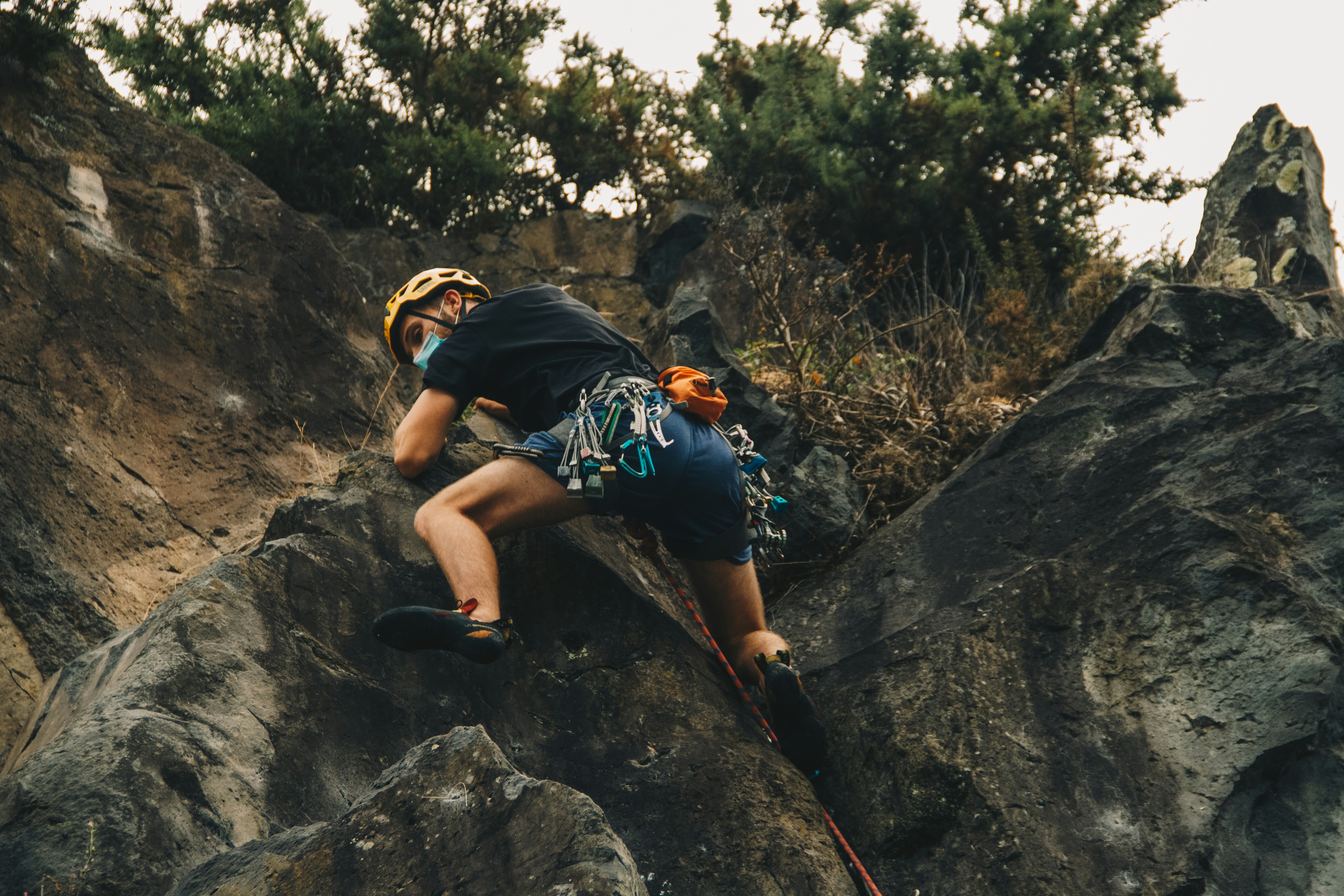 Vertical Ascent: The Art of Climbing