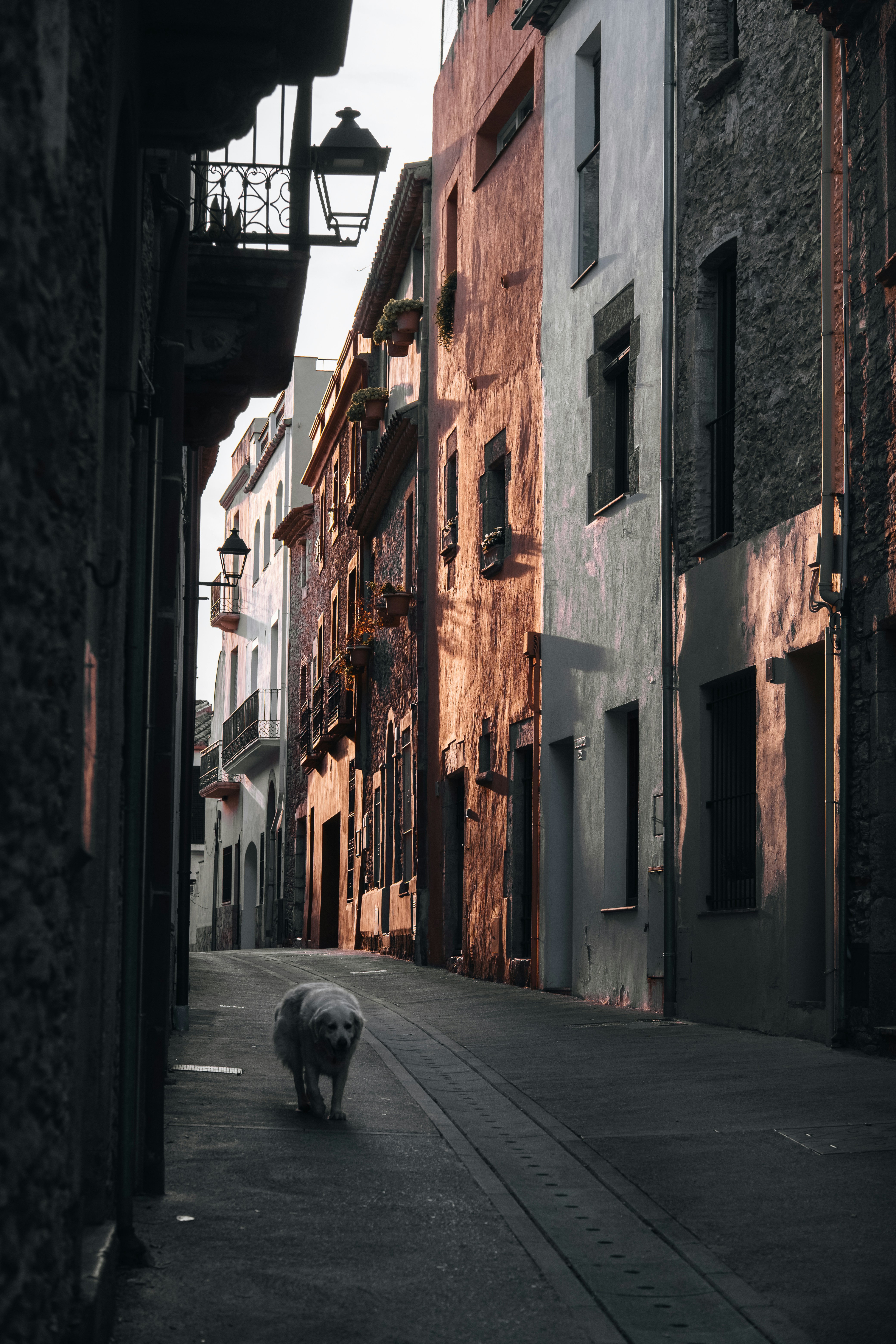 Whispers of a Quiet Street