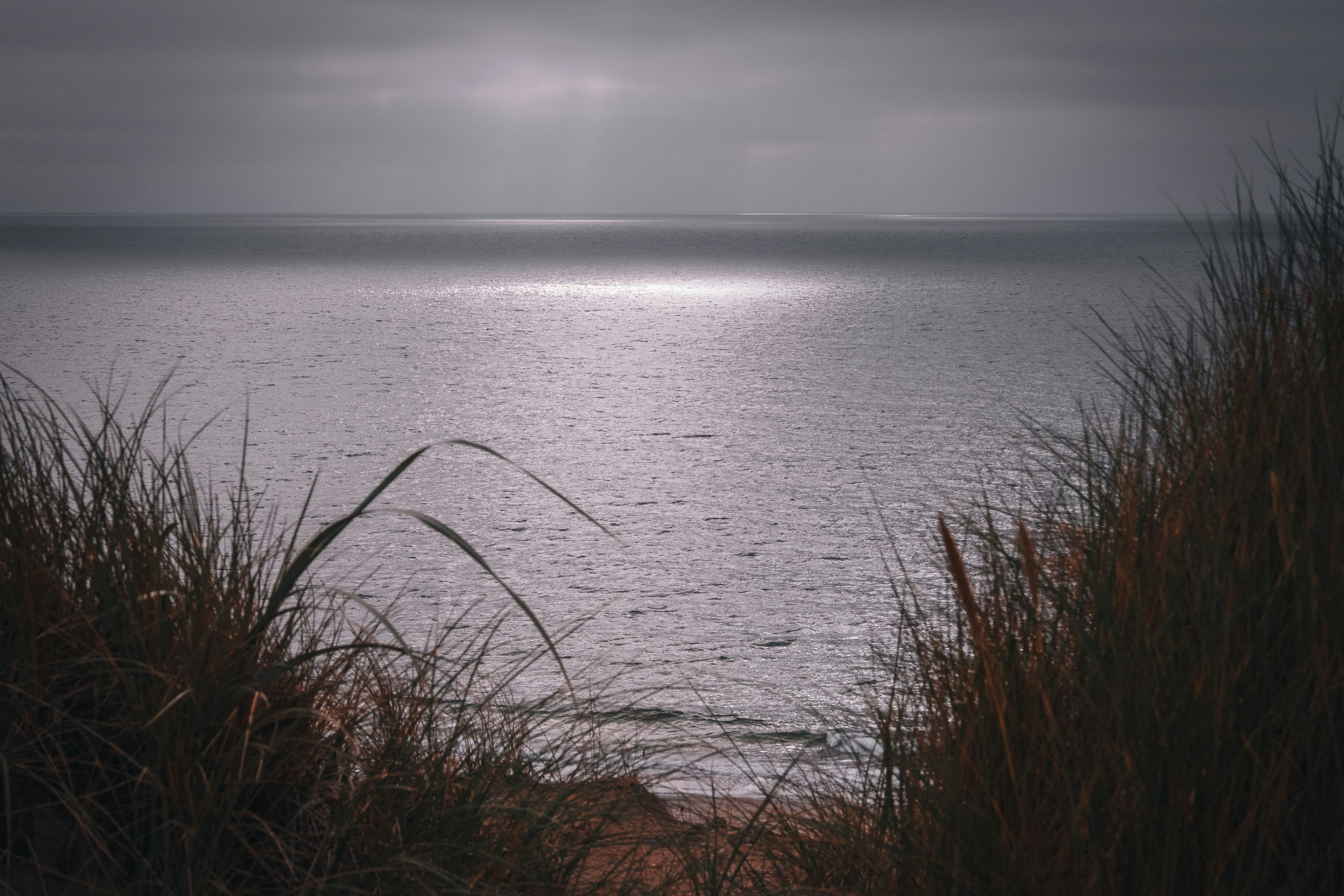 Grassy dunes overlook a shimmering ocean under cloudy sky
