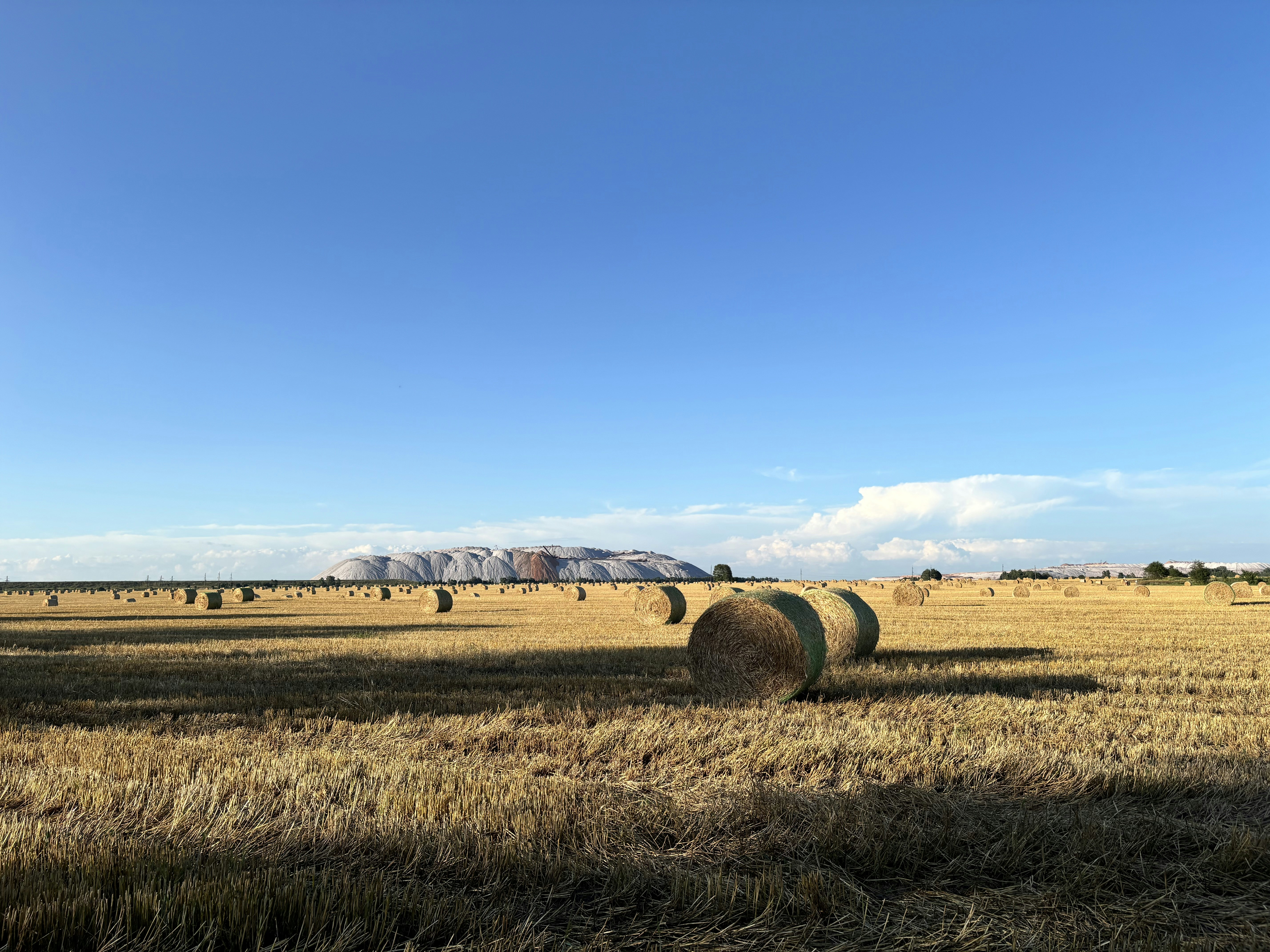 Harvest Harmony at the Base of Uluru
