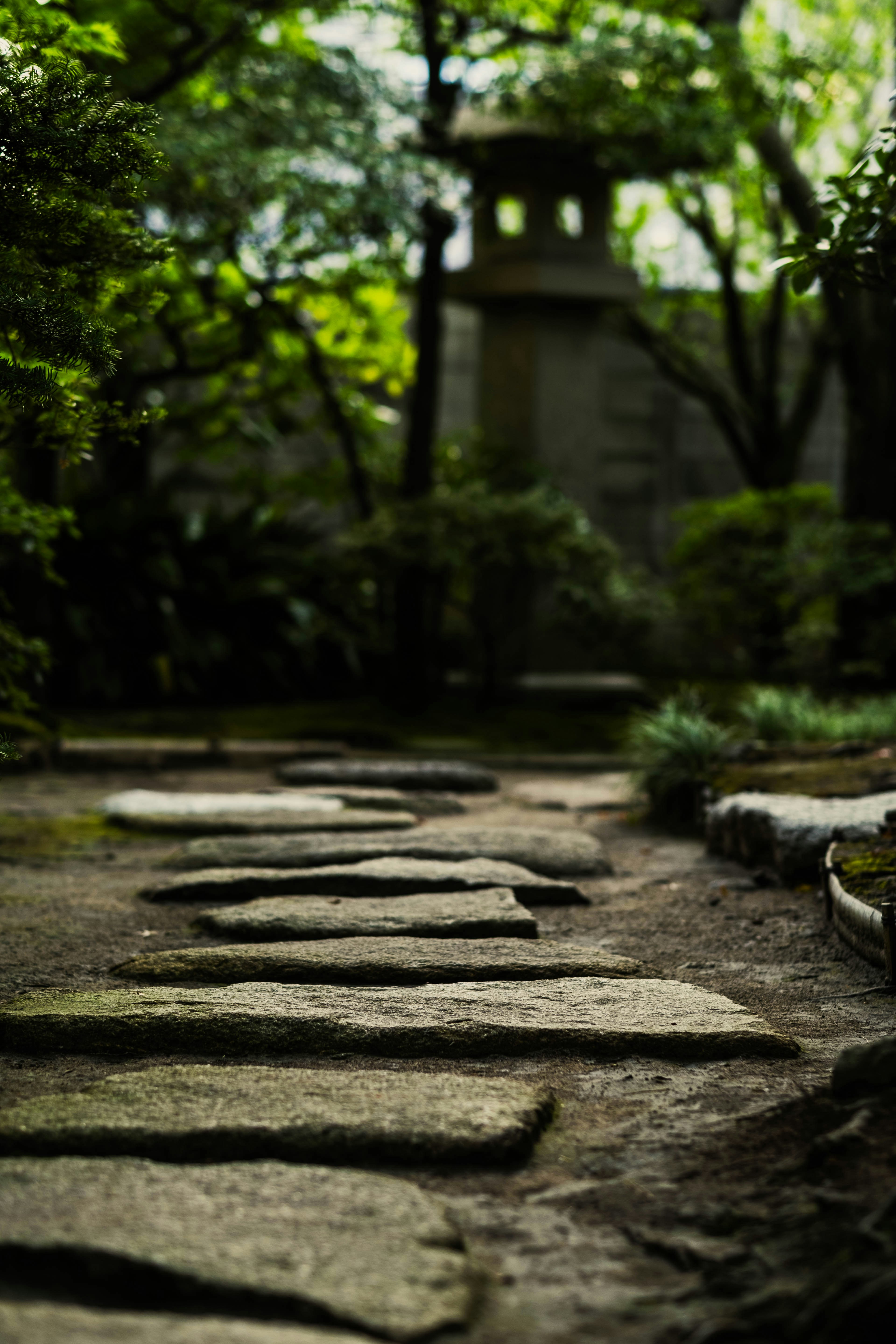 Whispers of Tranquility: A Pathway Through Nature's Embrace