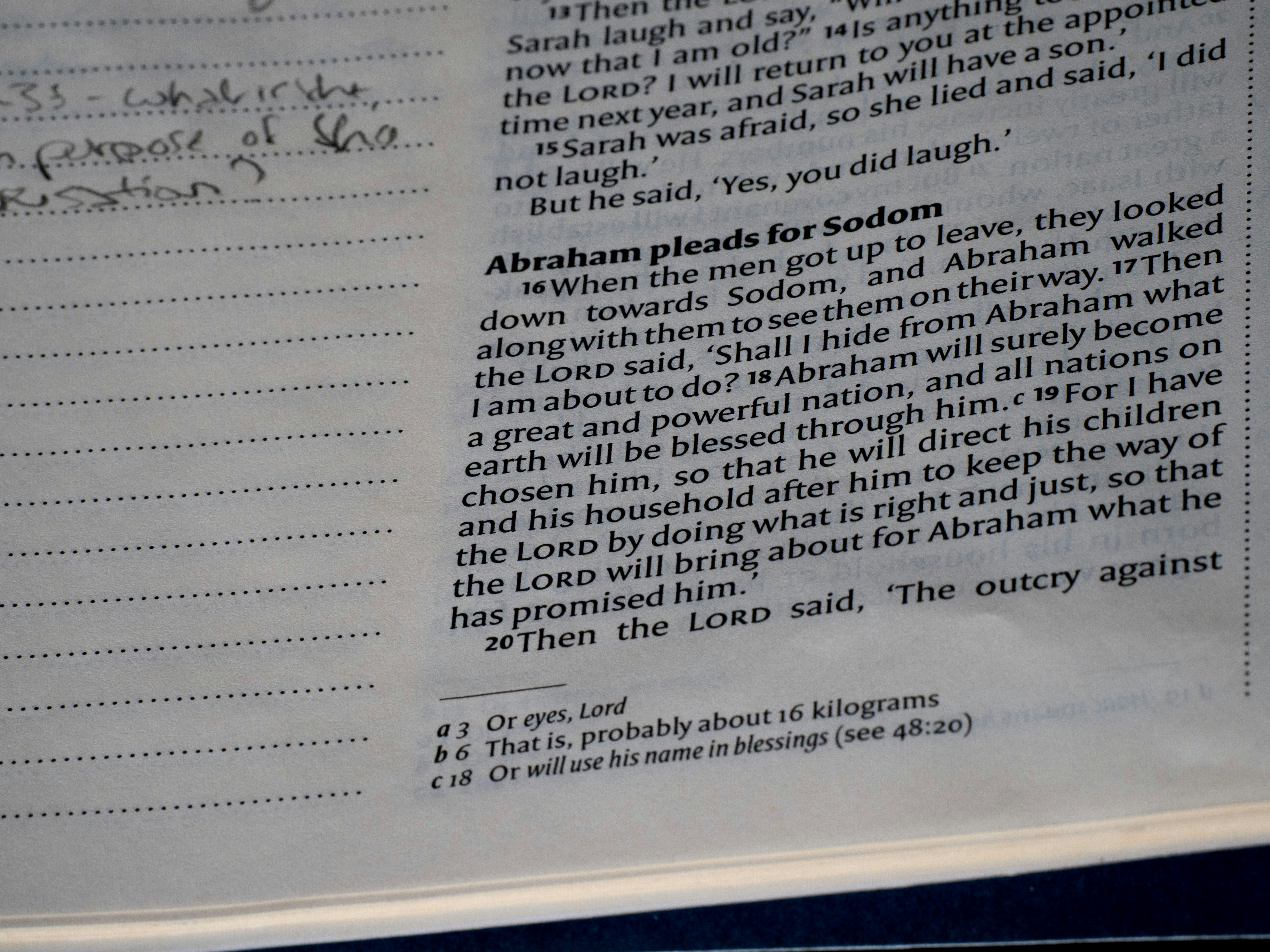 Text excerpt from a religious scripture discussing Abraham's plea for Sodom, highlighting themes of justice and mercy.