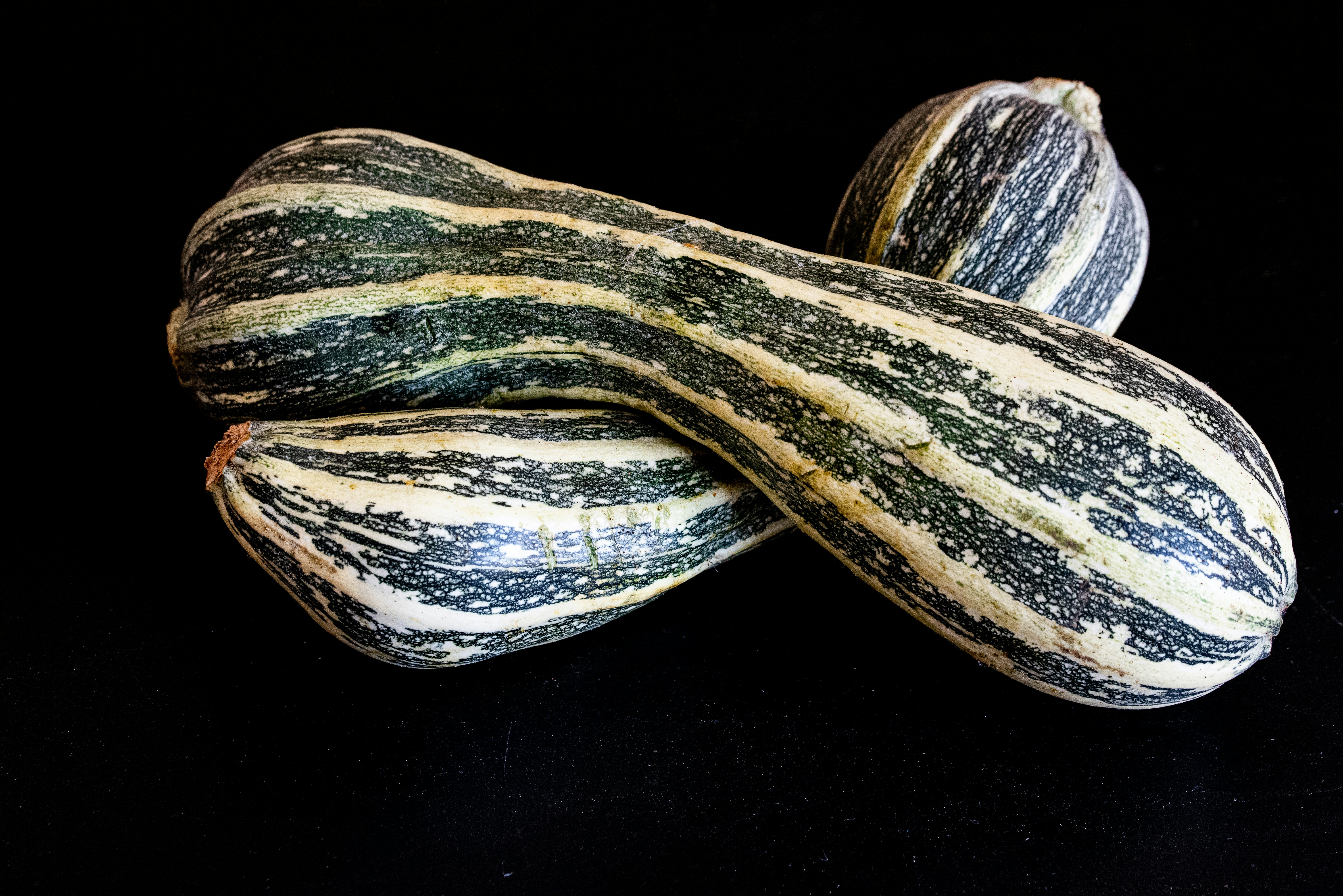 Stripes of Nature: A Culinary Duo