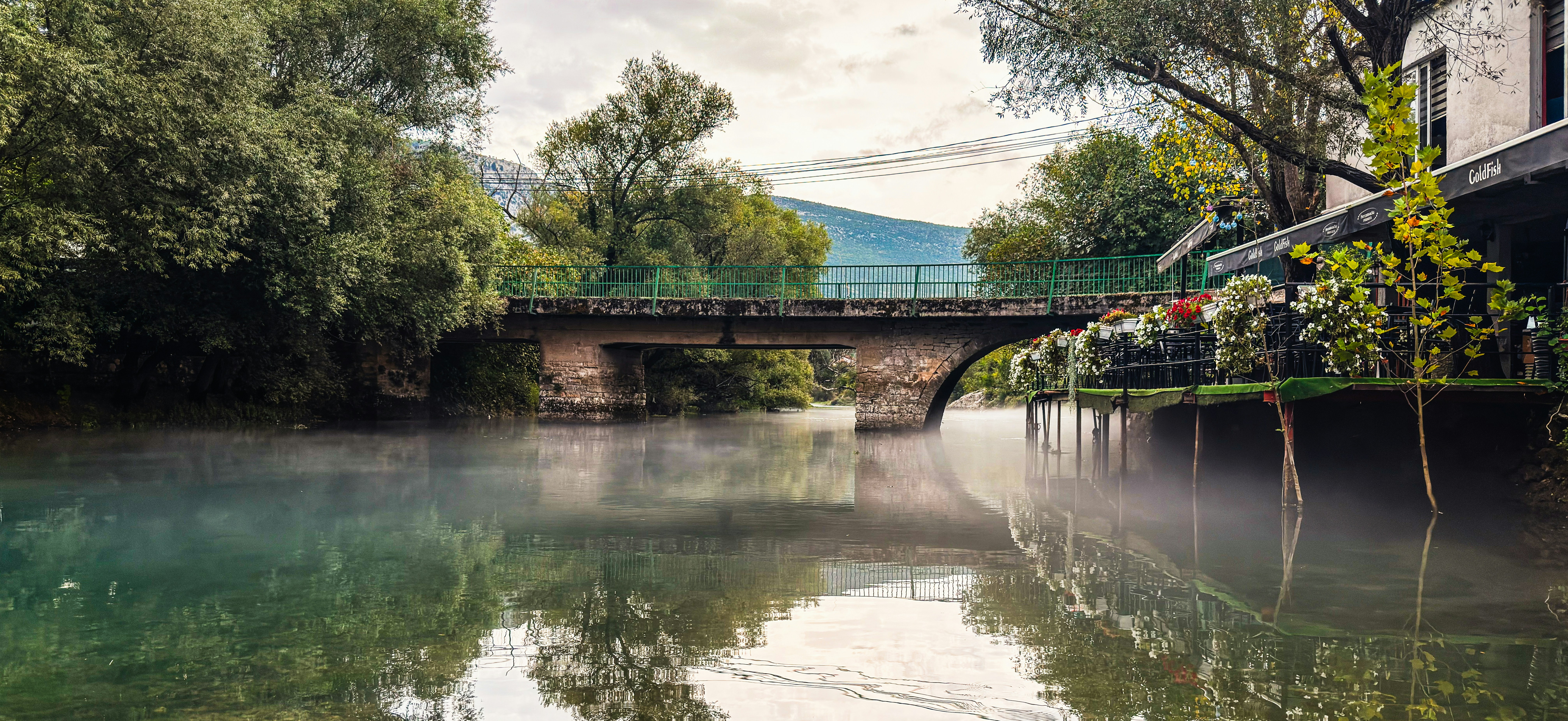 Reflections of Tranquility: A Bridge Over Still Waters