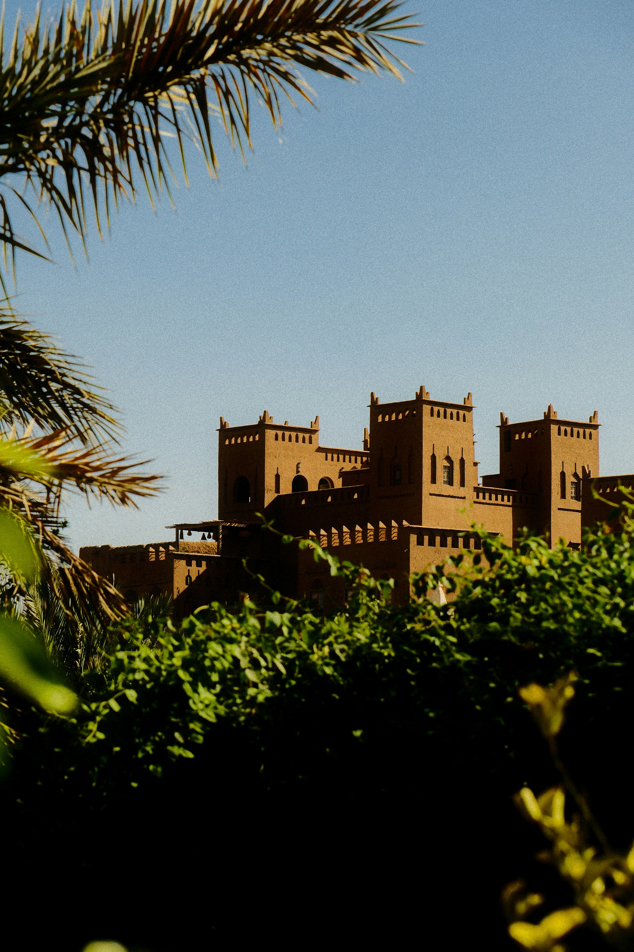 Desert Fortress Amidst Lush Greenery