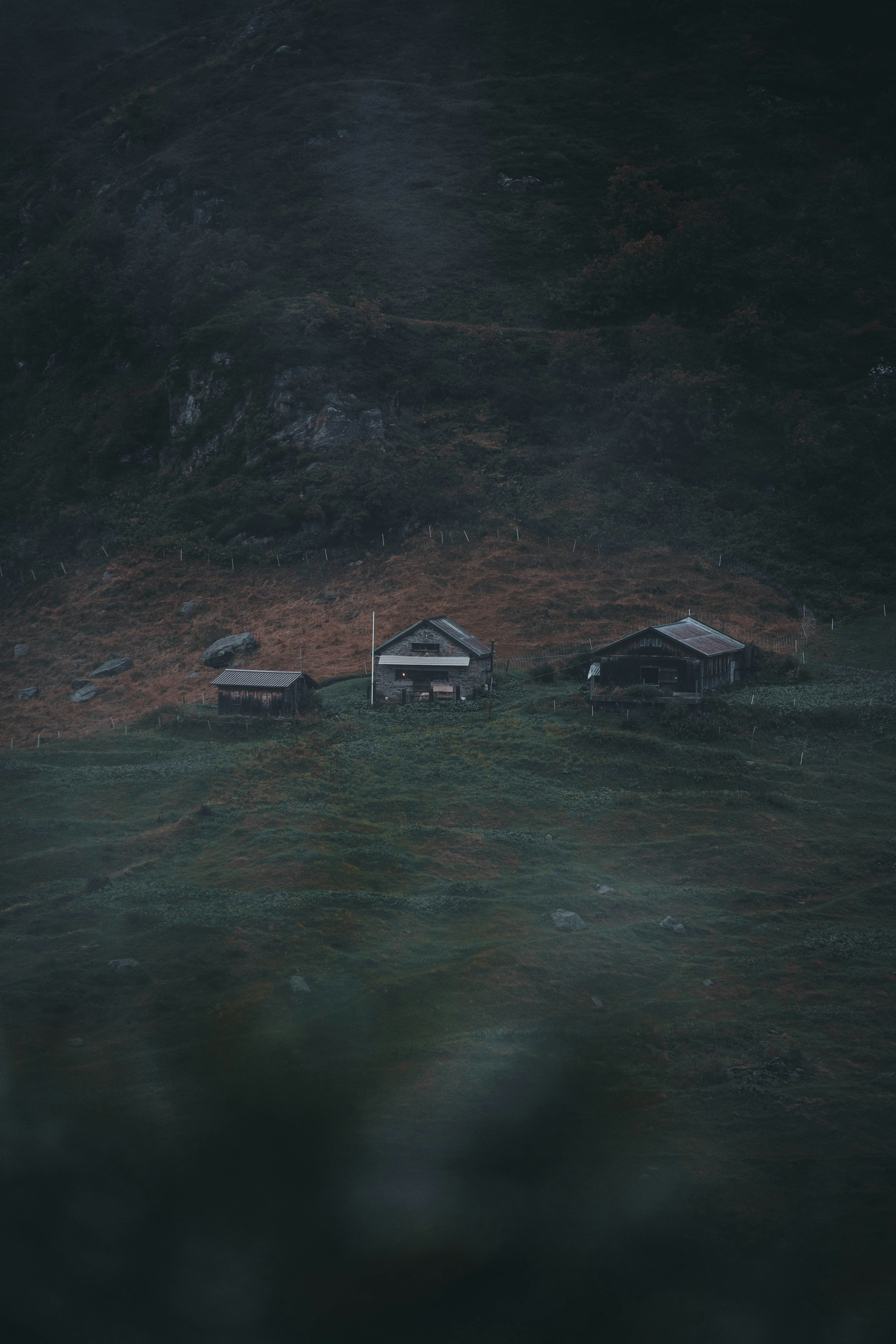 Whispers of the Alpine Homestead
