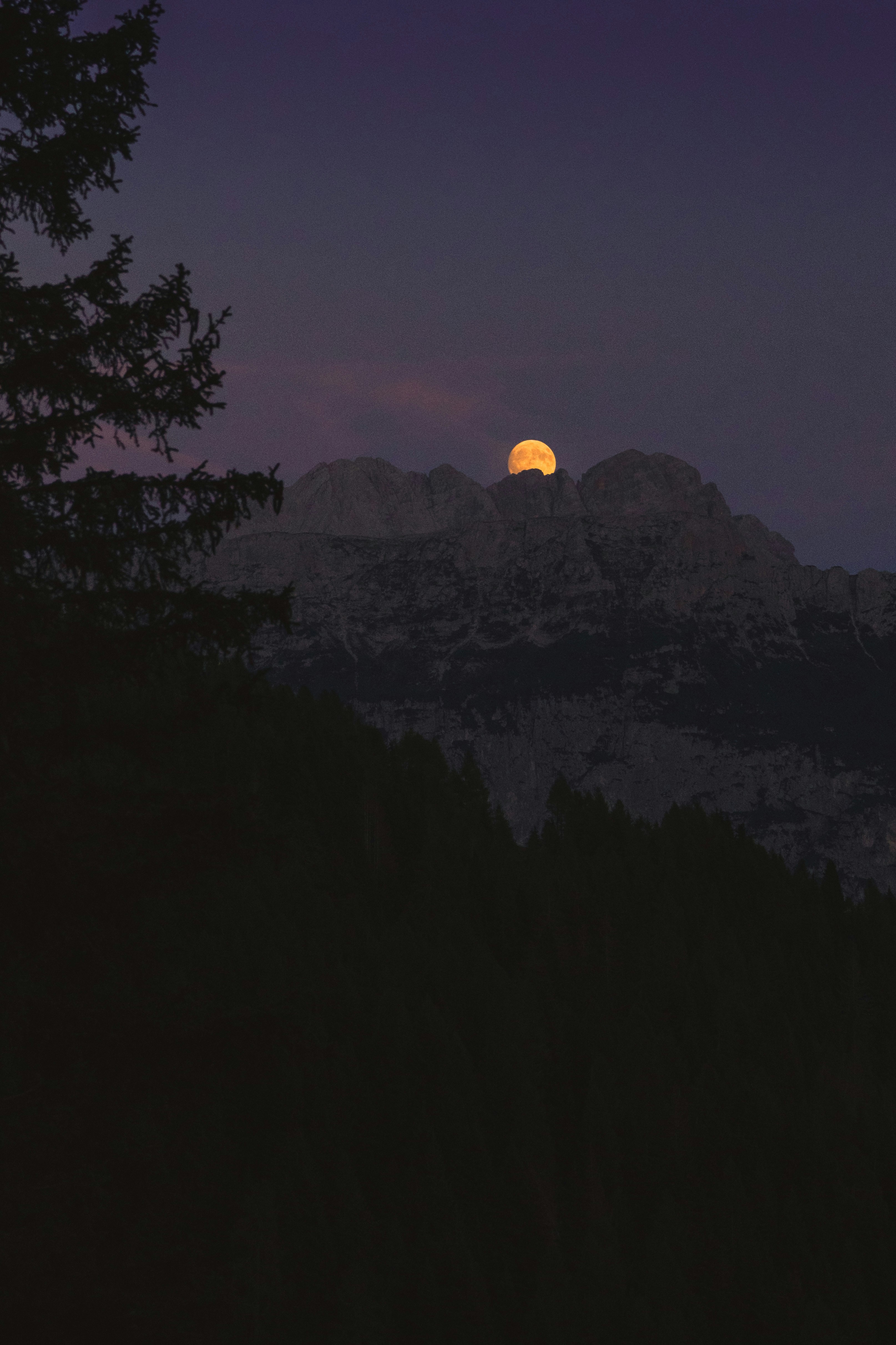 Golden moon rising over rugged mountain range, framed by dark silhouettes of trees. The scene captures the serene transition from dusk to night.