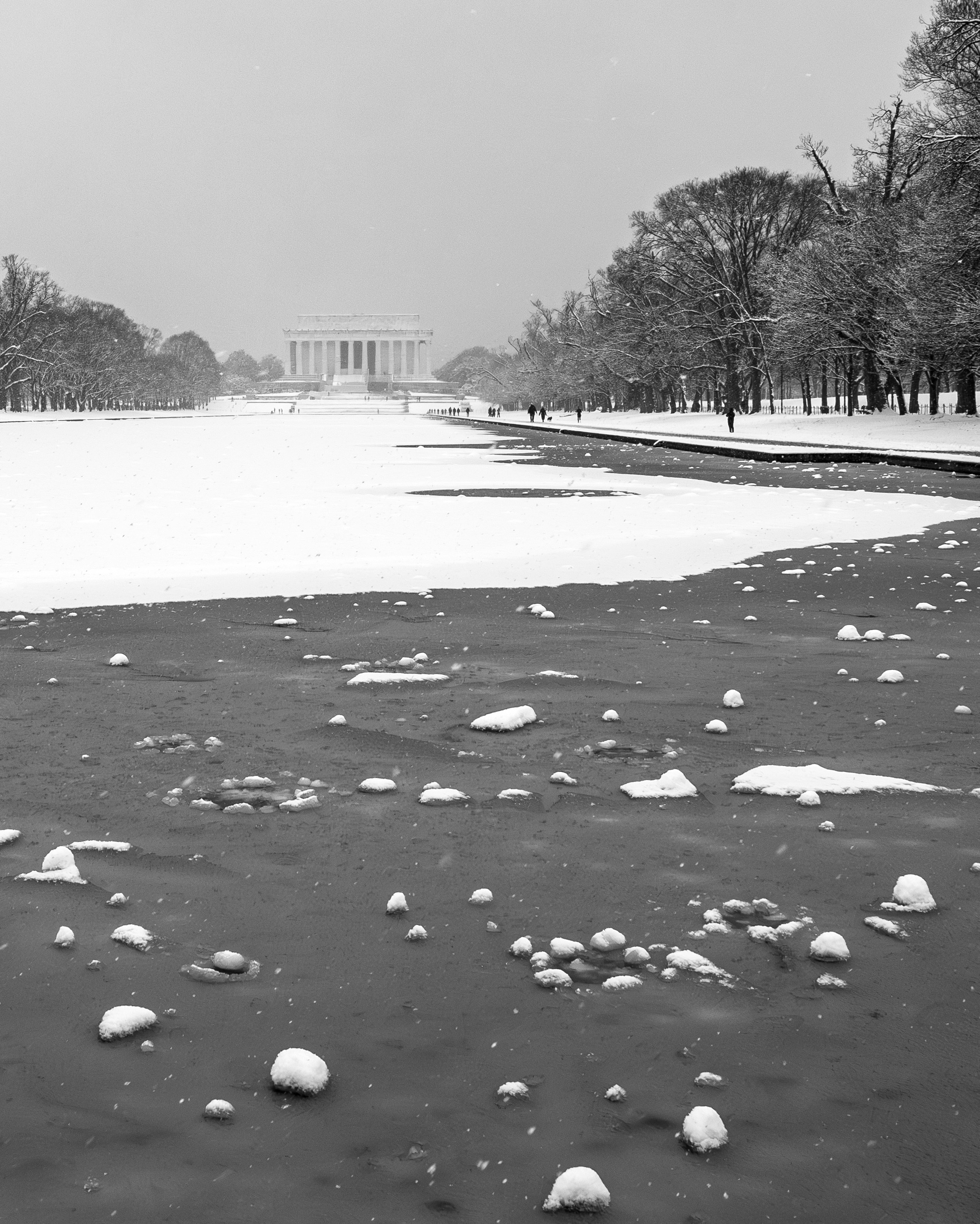 Silent Reflections in Winter's Embrace